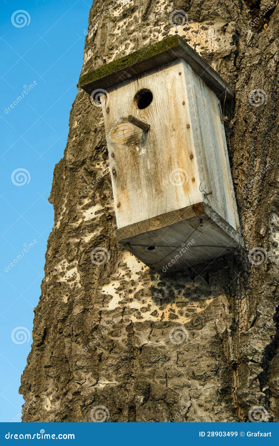 Empty nesting box stock image. Image of bird, construction - 28903499