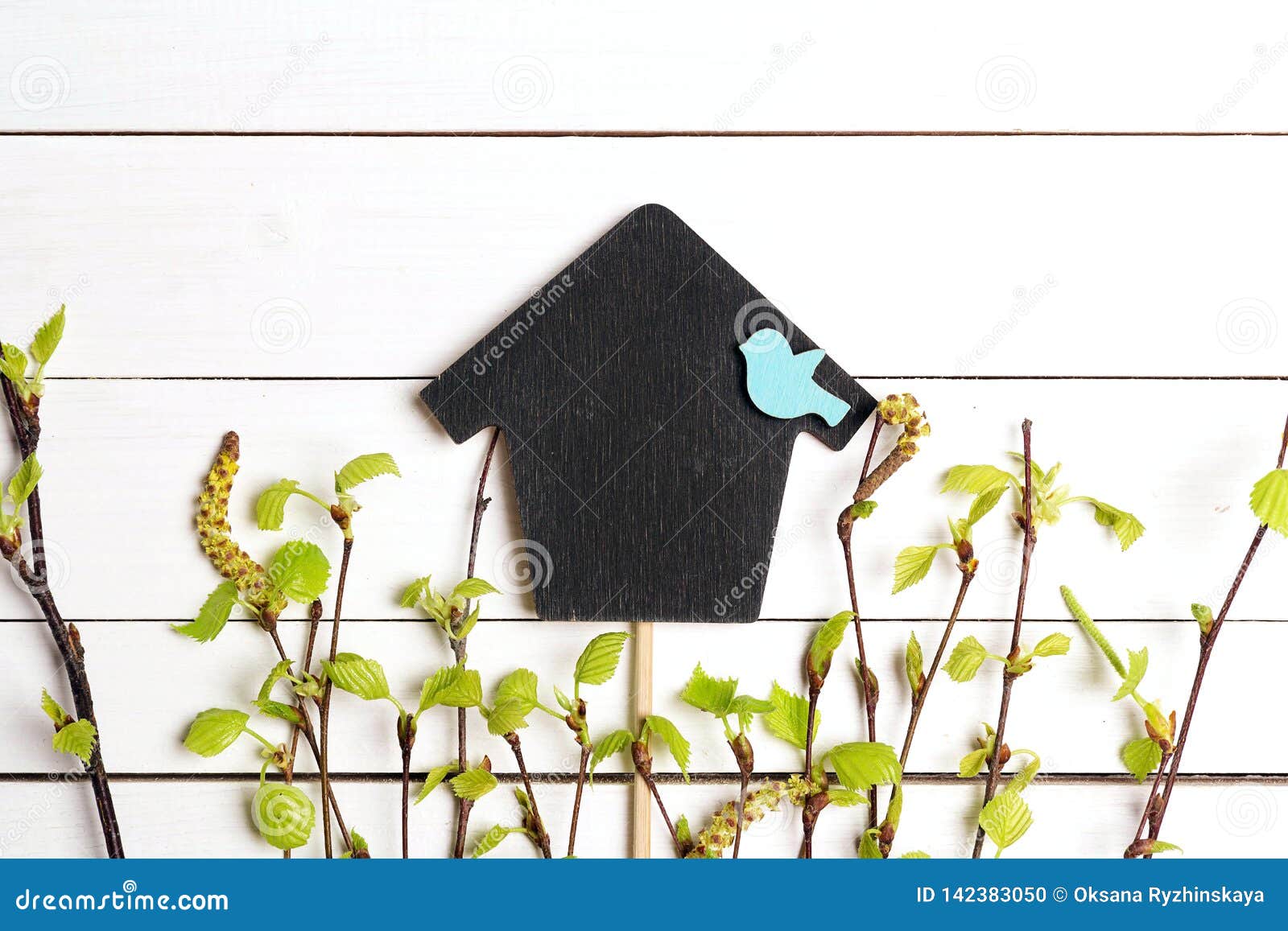 Empty Nesting Box Blackboard and Young Birch Branches with First Leaves ...