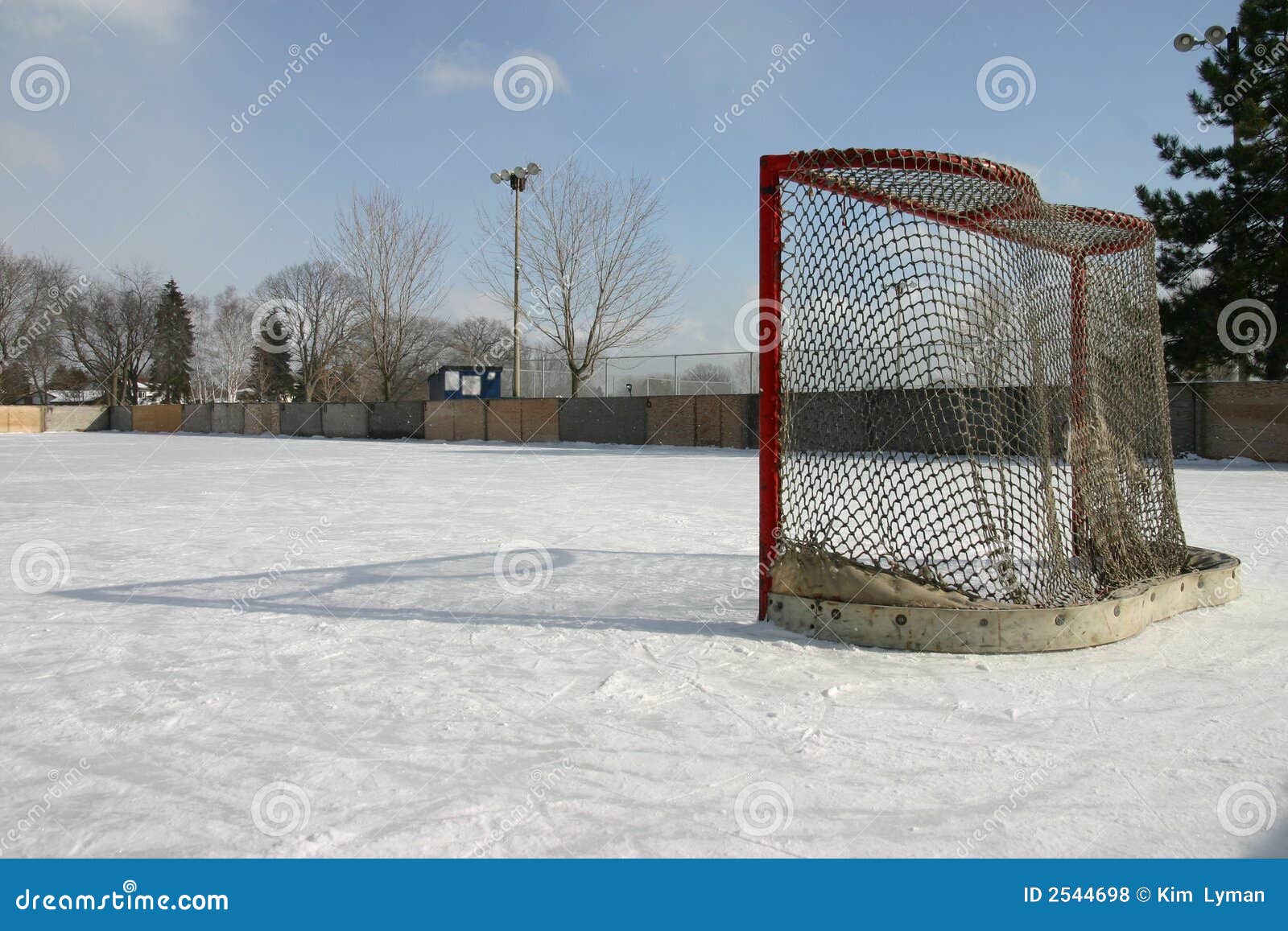 Empty Net stock photo. Image of attention, competitive - 2544698