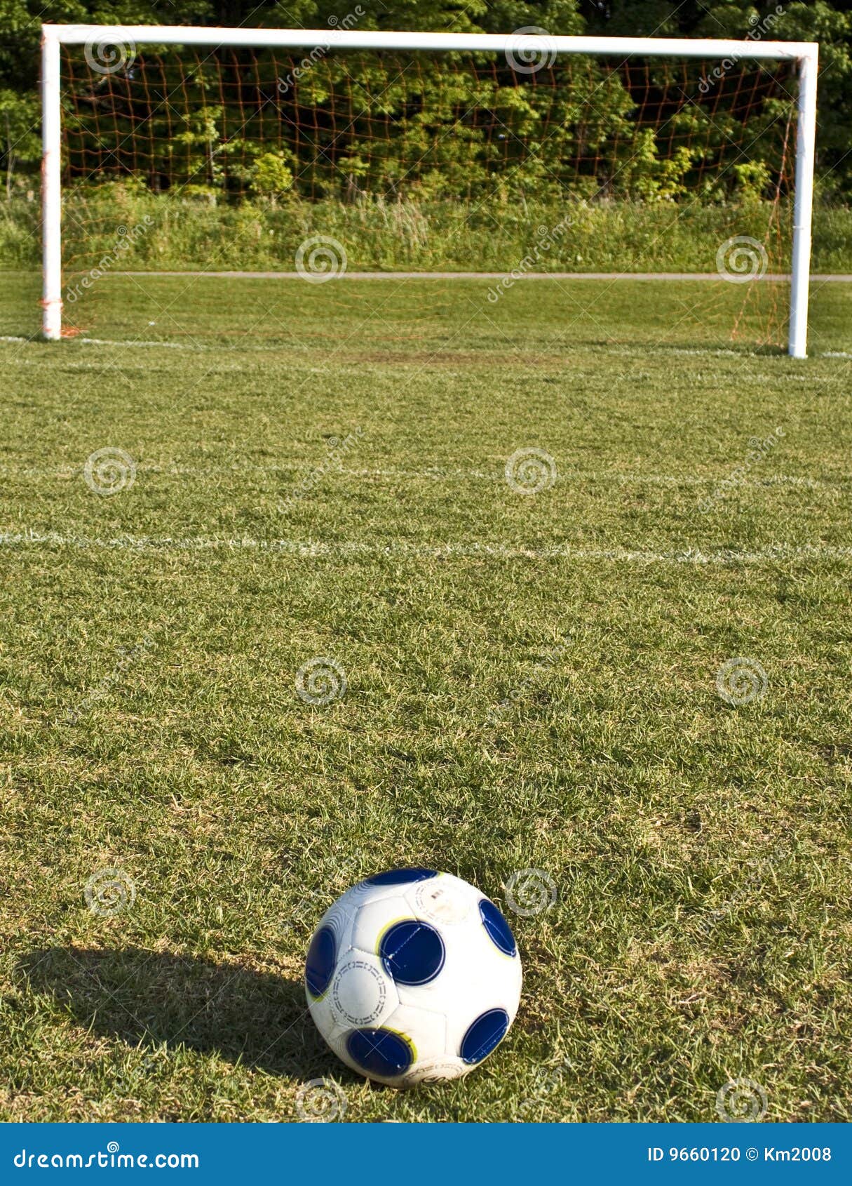 Empty Net stock photo. Image of kick, green, breakaway - 9660120