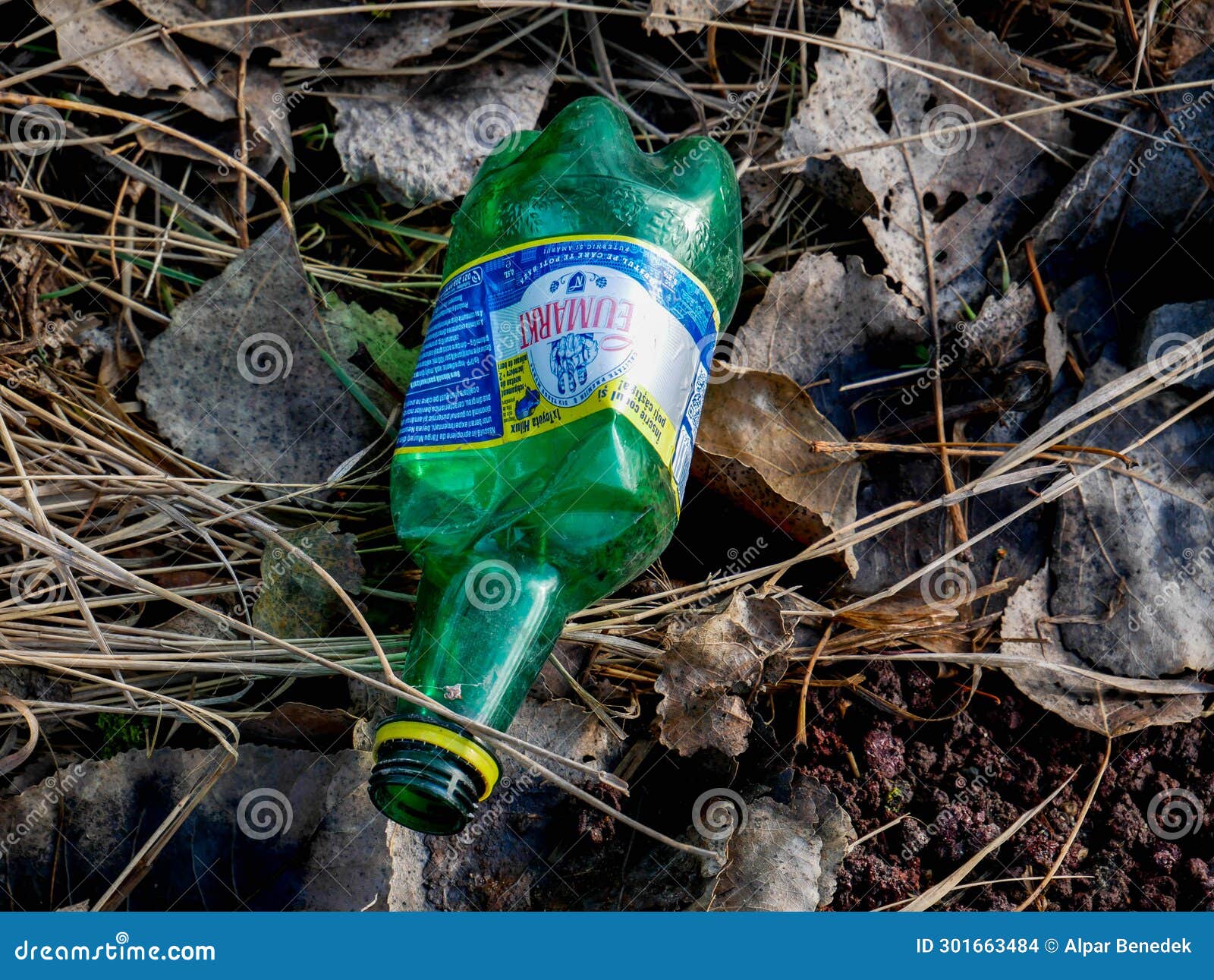Empty Neumarkt Plastic Beer Bottle on the Ground. Stock Photo - Image ...