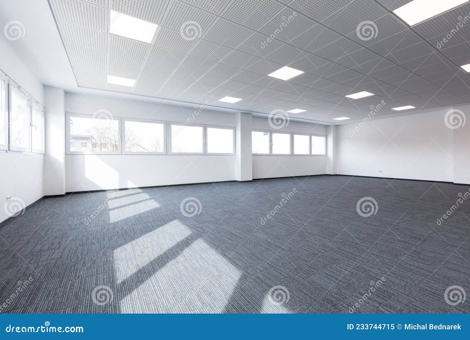 Empty new office for rent stock image. Image of commercial - 233744715