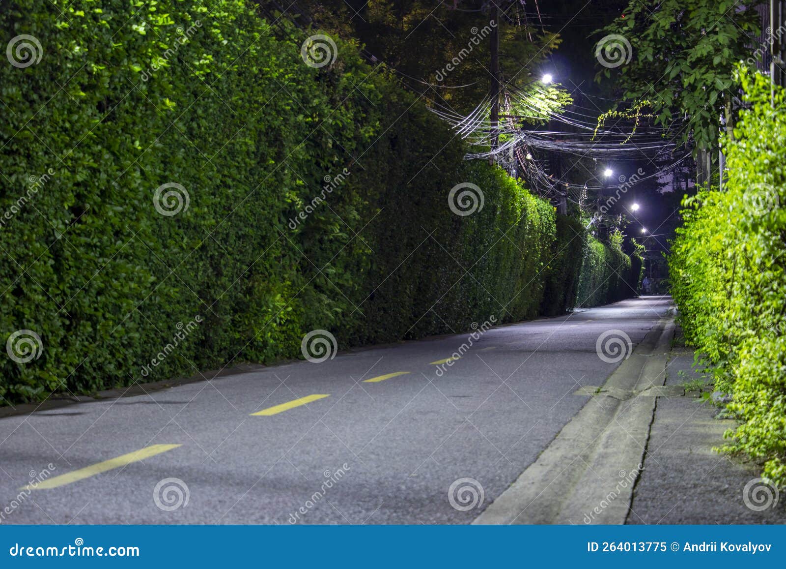 Empty night road stock image. Image of line, tree, night - 264013775