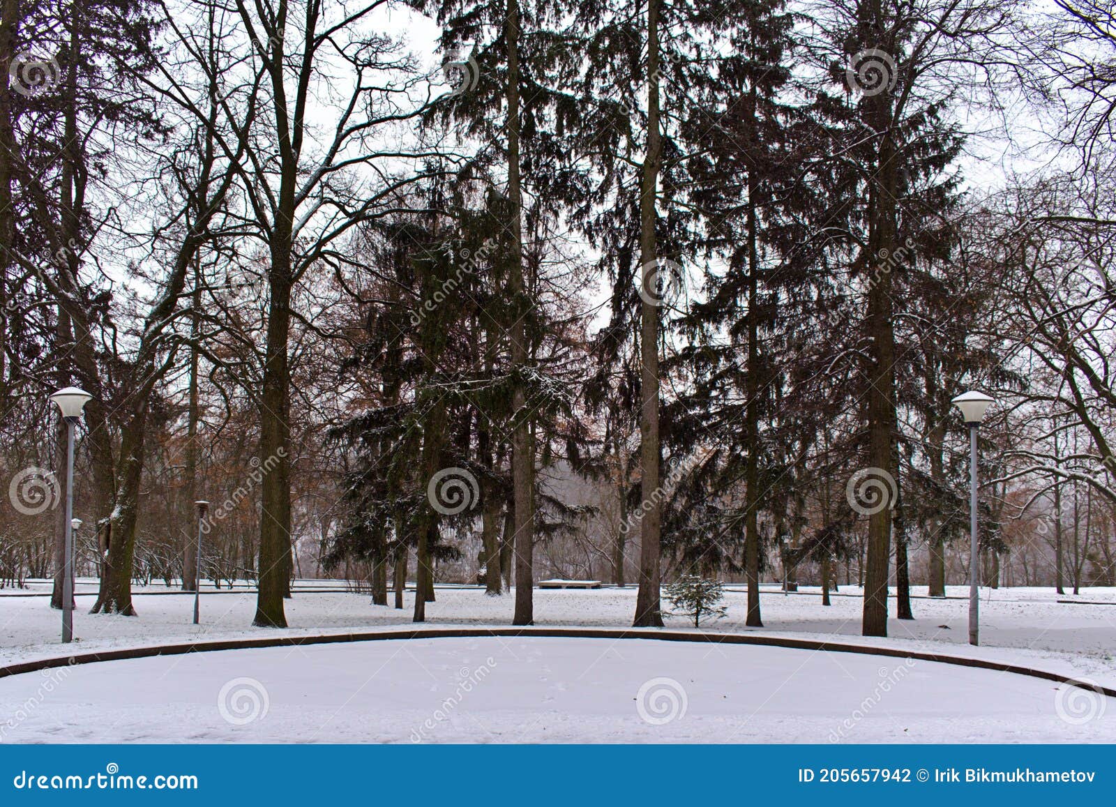 Empty park in winter stock photo. Image of forest, beautiful - 205657942