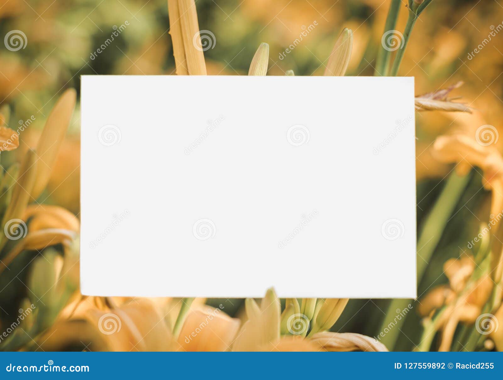 Lilies of the Valley Frame with Pink Lilies - Love Letter Horizontal ...