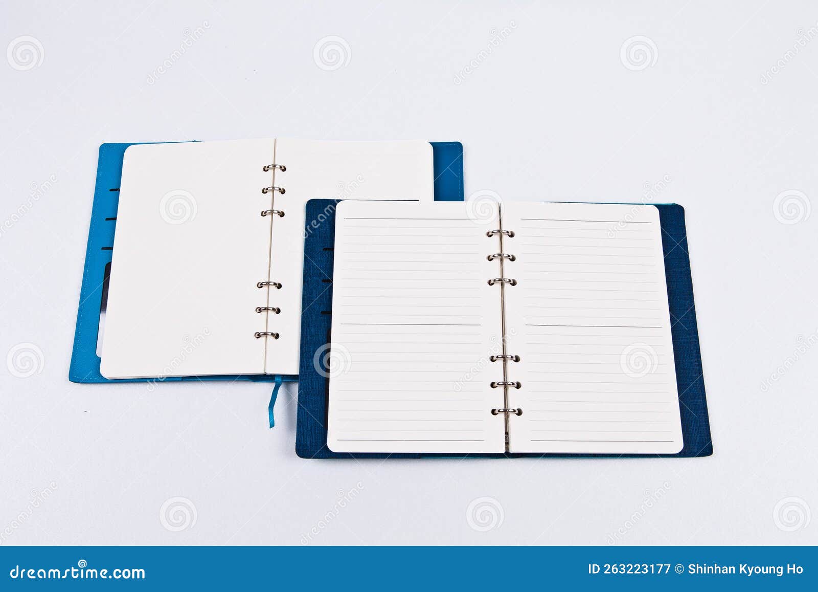 The Empty Note Diary and the Lined Diary are Side by Side, and they are ...