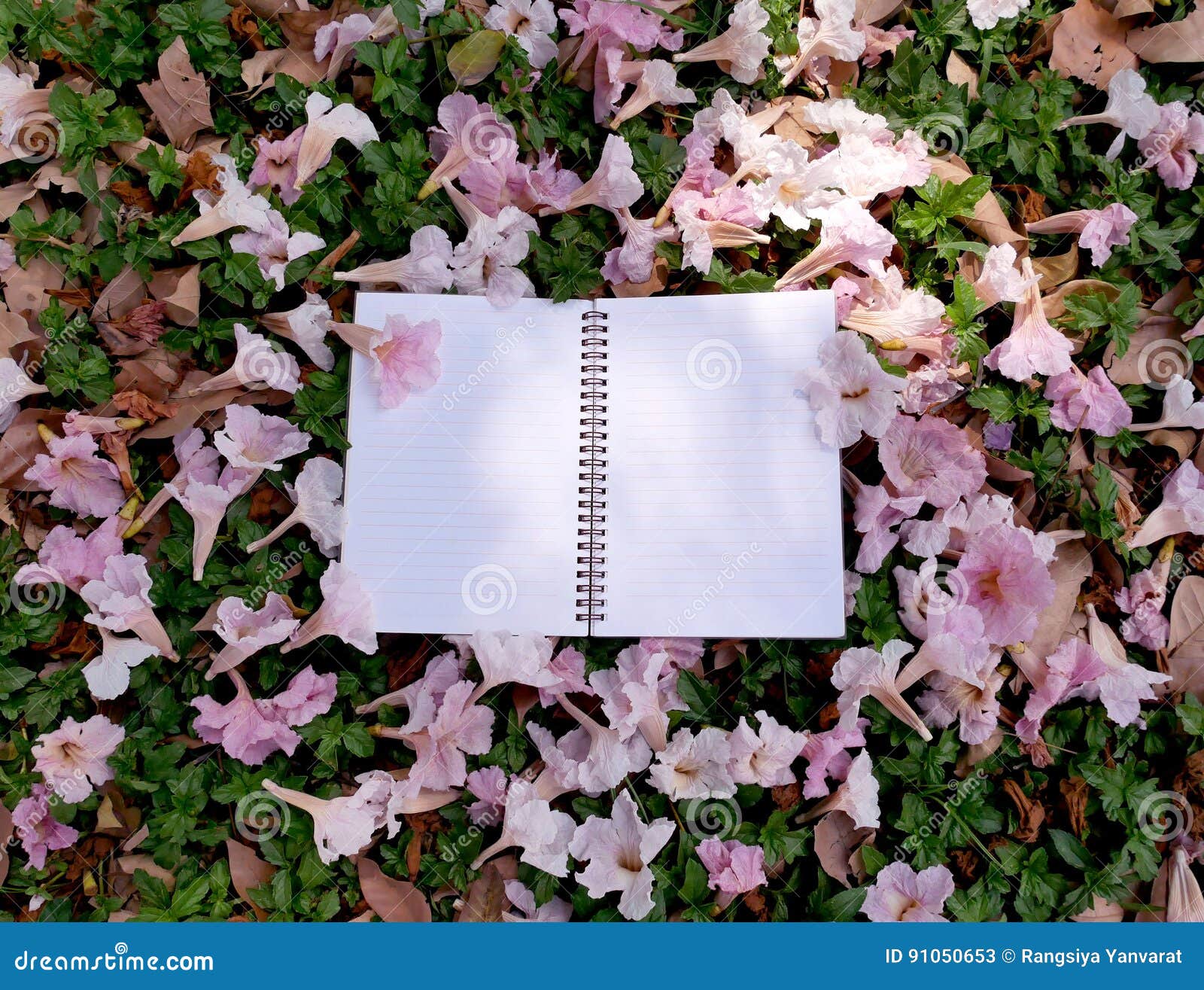 Empty Notebook with Pink Flower Stock Image - Image of book, leaf: 91050653