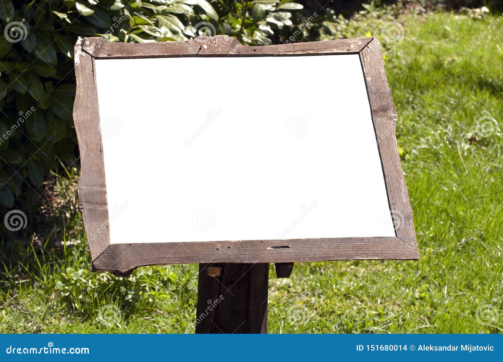 Empty Notice Board in Natire Stock Photo - Image of clear, customizable ...