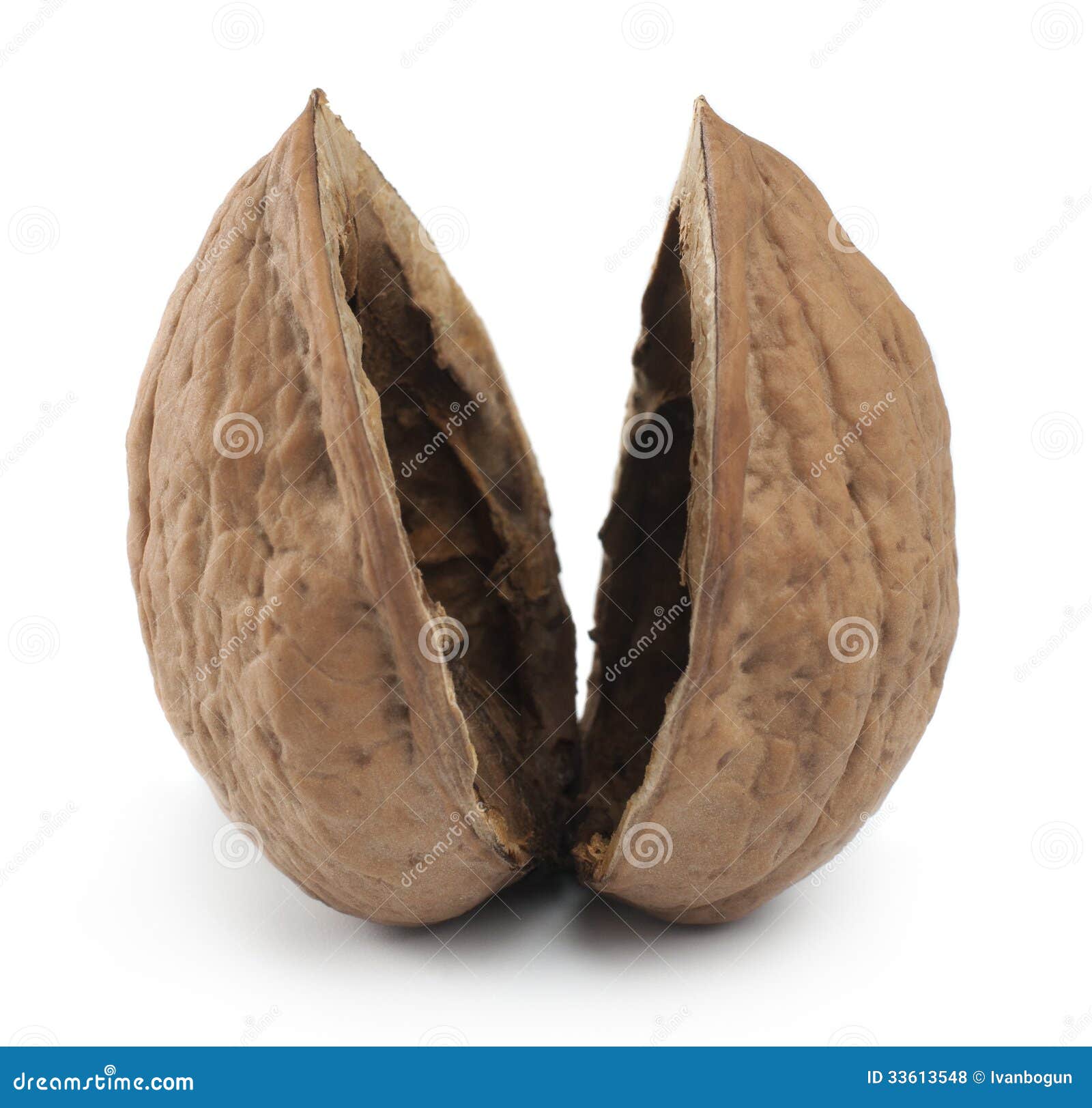 1,054 Empty Nutshell Photos - Free & Royalty-Free Stock Photos from ...