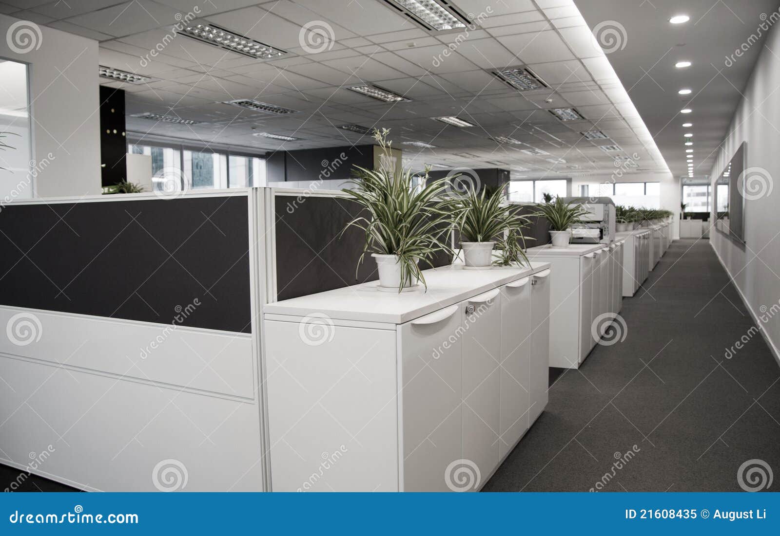Empty office stock image. Image of cupboard, manage, business - 21608435