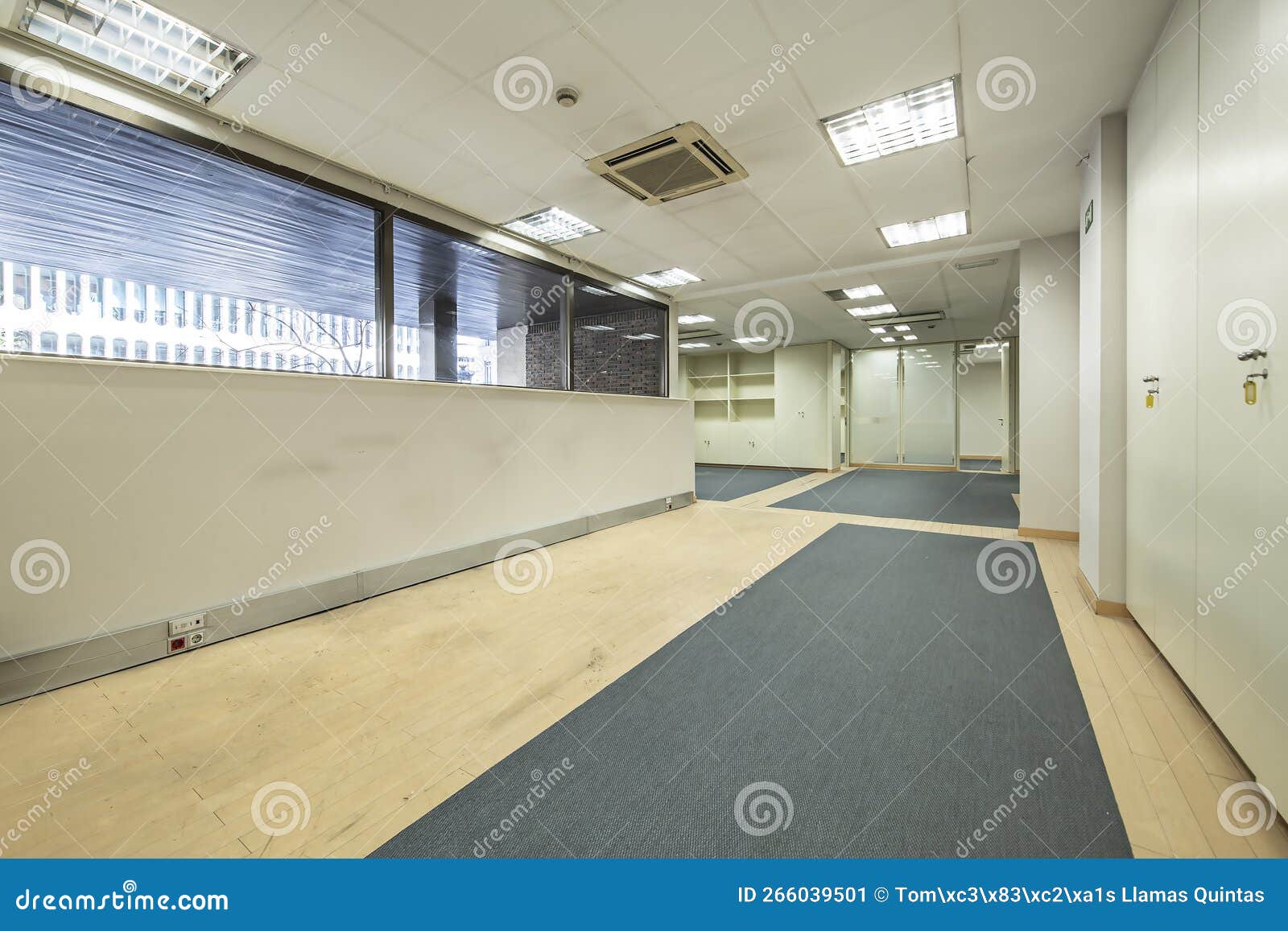 An Empty Office with Two-tone Carpeted Floors, a Space with Partitions ...
