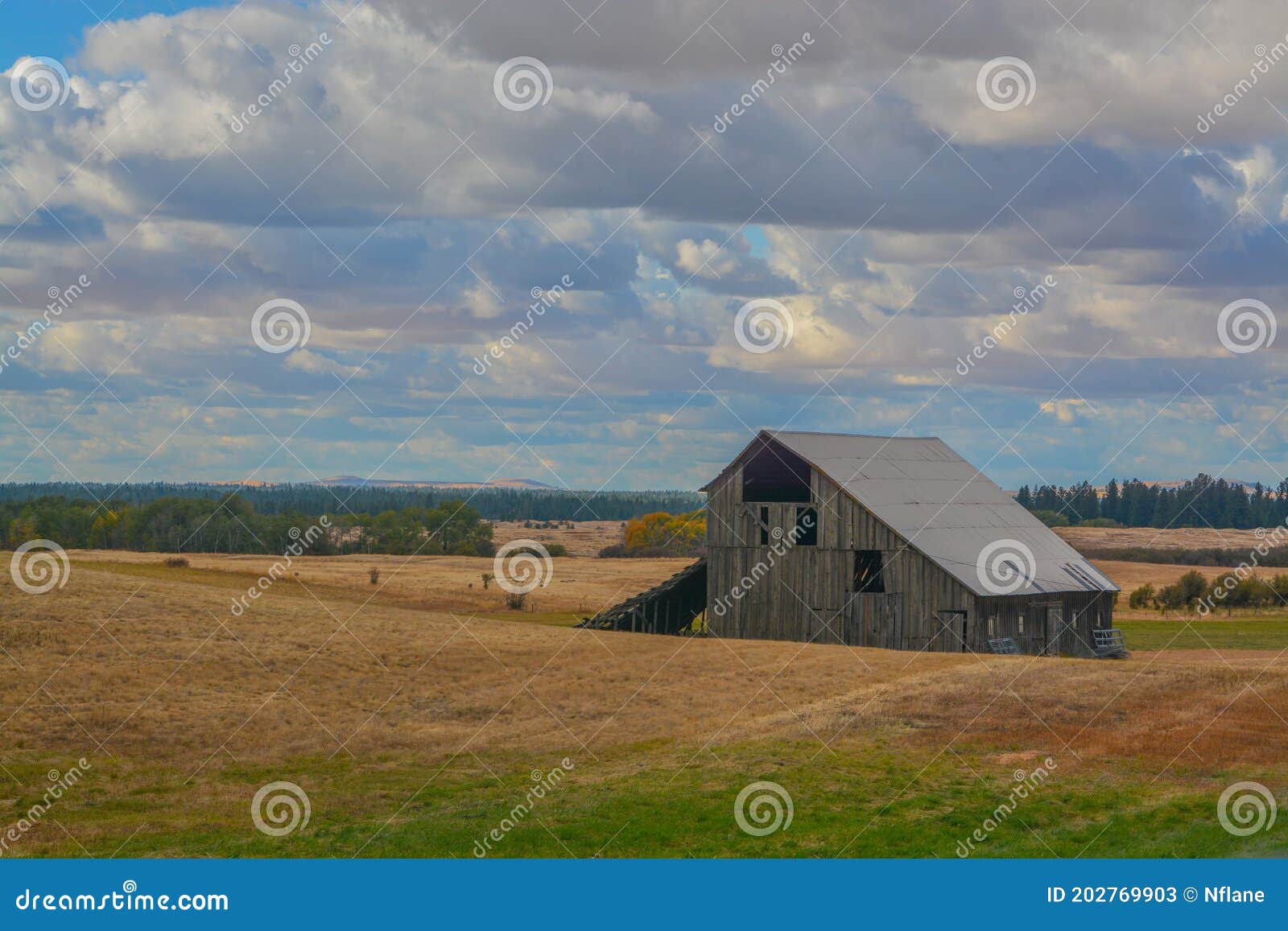 Empty Old Barn on Farm Land in Eastern Washington Stock Image - Image ...