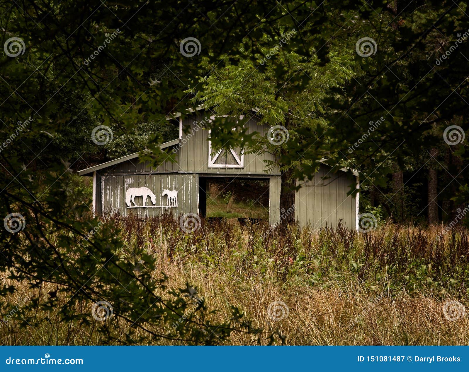 Empty Old Barn stock image. Image of meadow, outdoor - 151081487