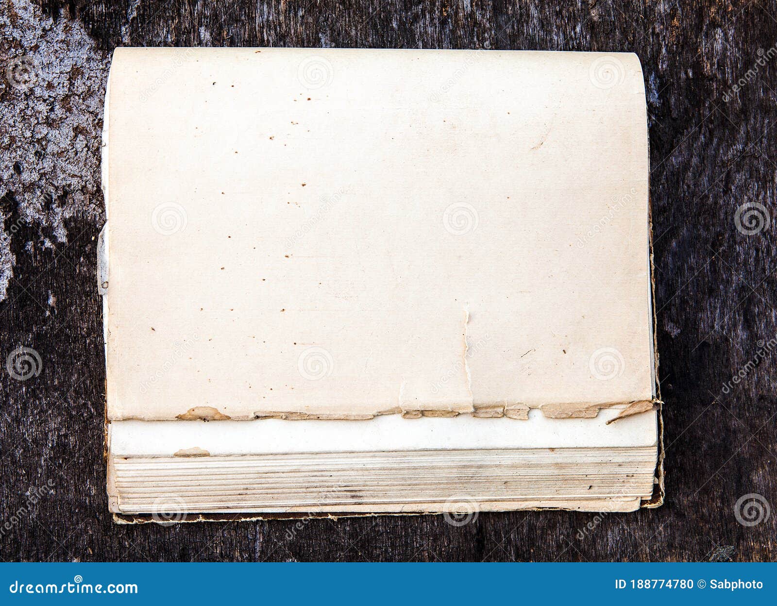 Empty Old Book stock photo. Image of padding, dappled - 188774780