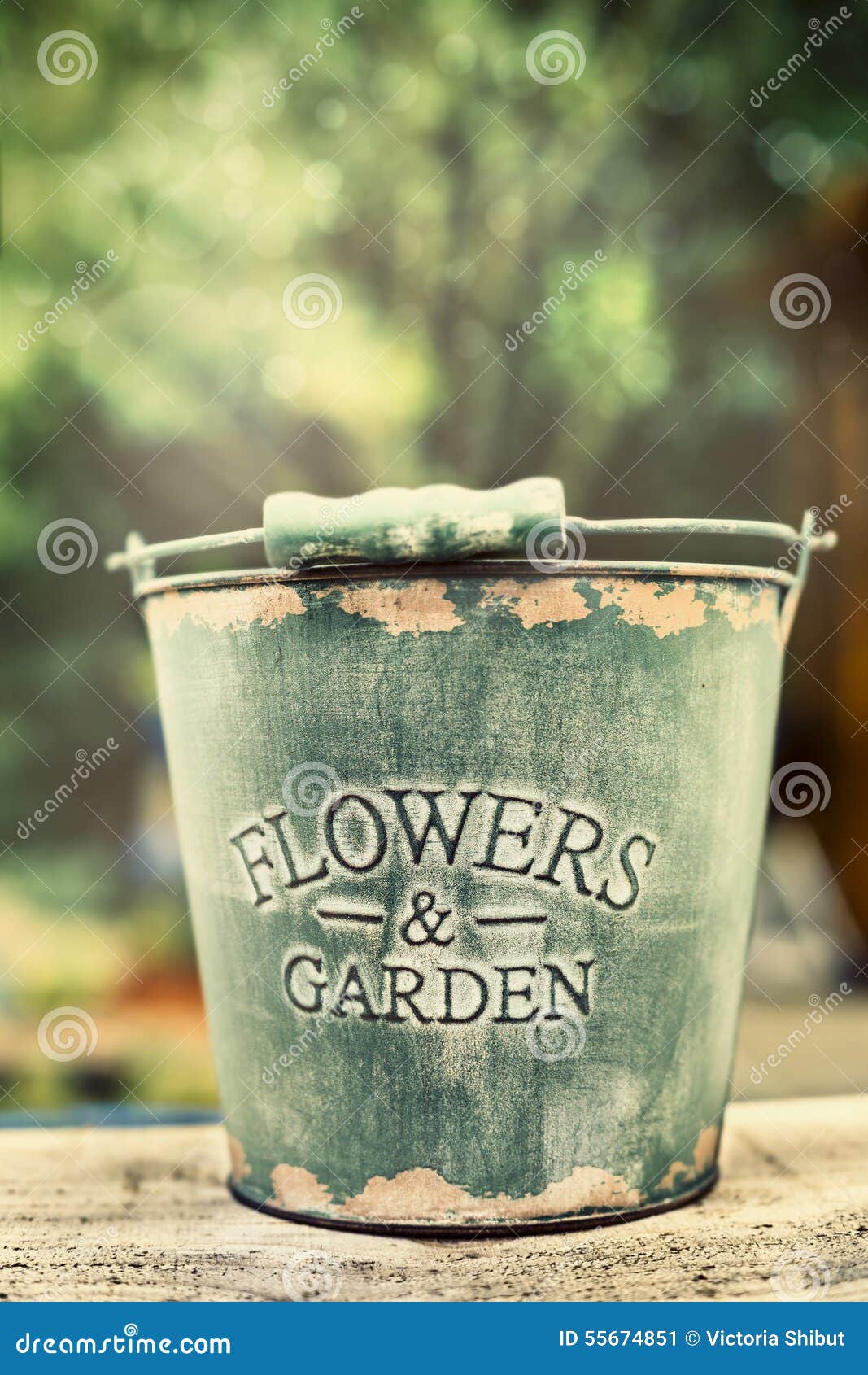 Empty Old Bucket on Garden Table, Gardening Concept Stock Image - Image ...