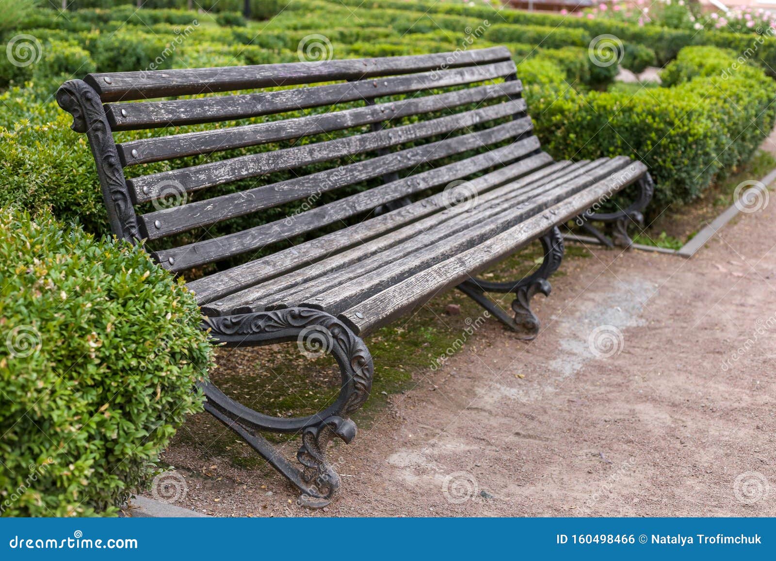 Empty old park bench stock photo. Image of peaceful - 160498466