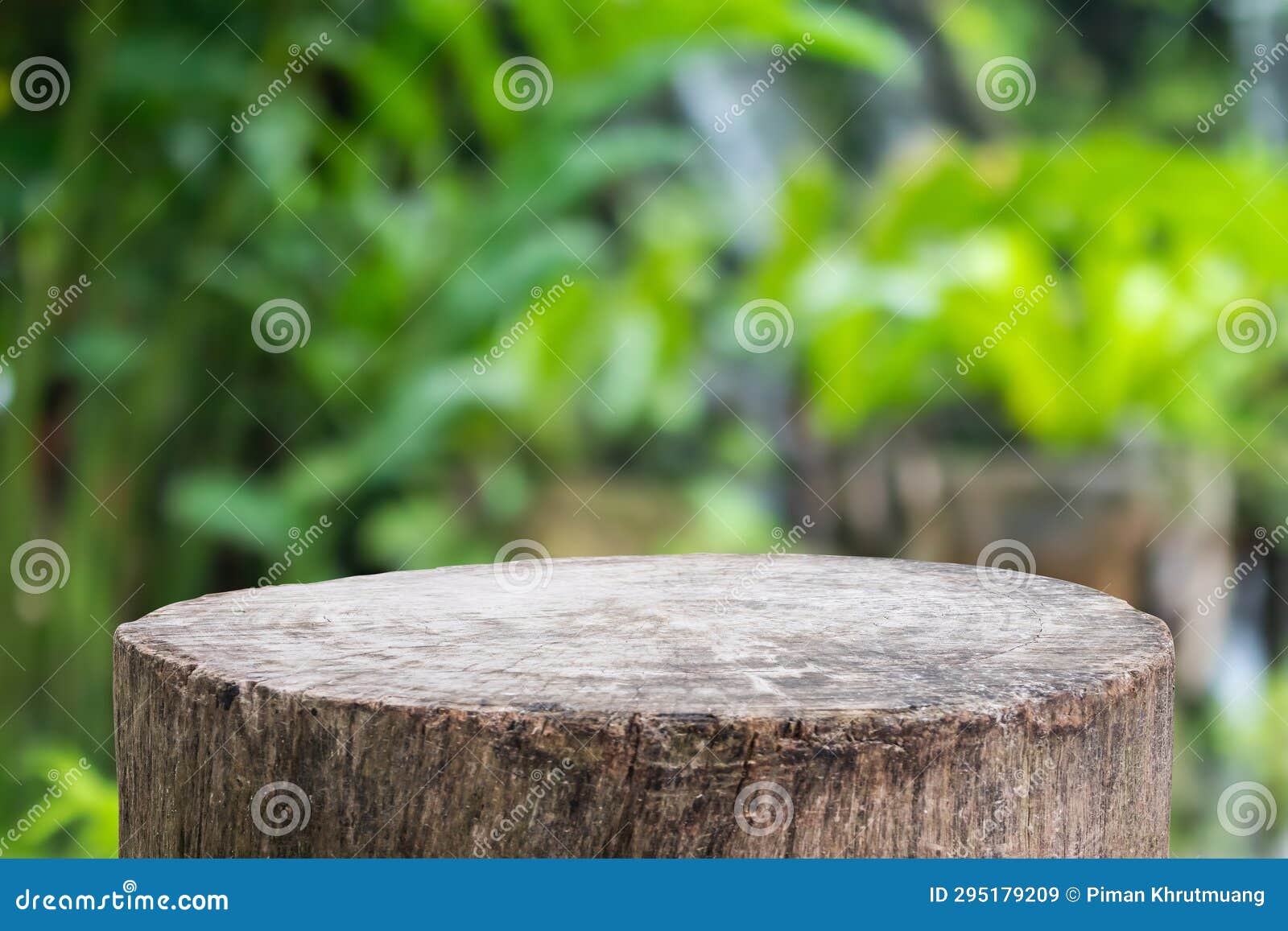 Empty Tree Stump Table Top with Blur Green Tropical Garden Background ...