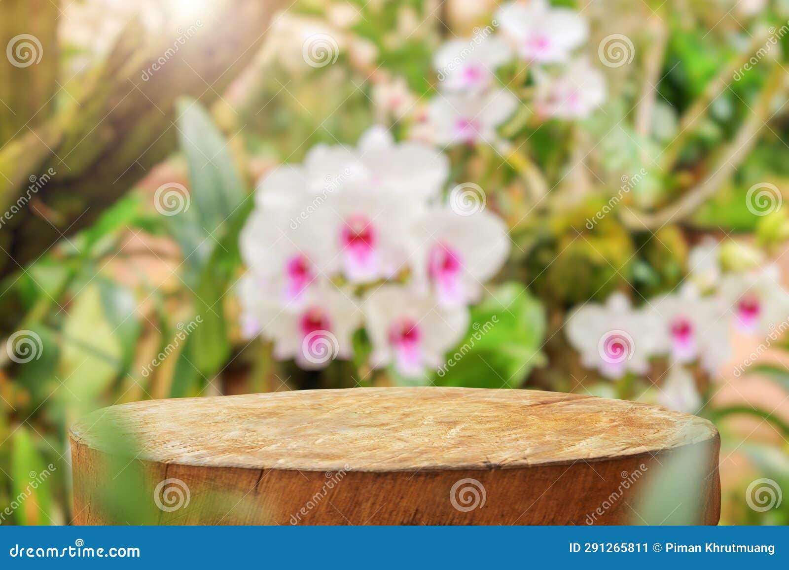 Empty Tree Stump Table Top with Blur Orchid Garden Background for ...