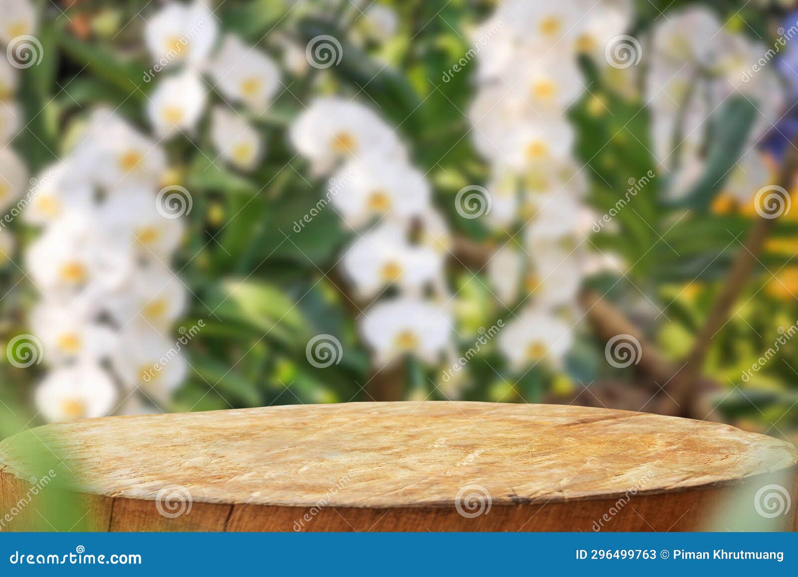 Empty Tree Stump Table Top with Blur Orchid Garden Background for ...