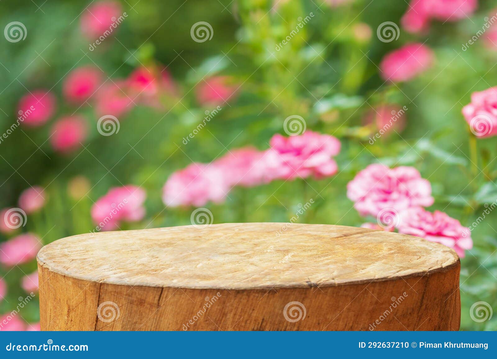 Empty Tree Stump Table Top with Blur Rose Garden Background for Product ...