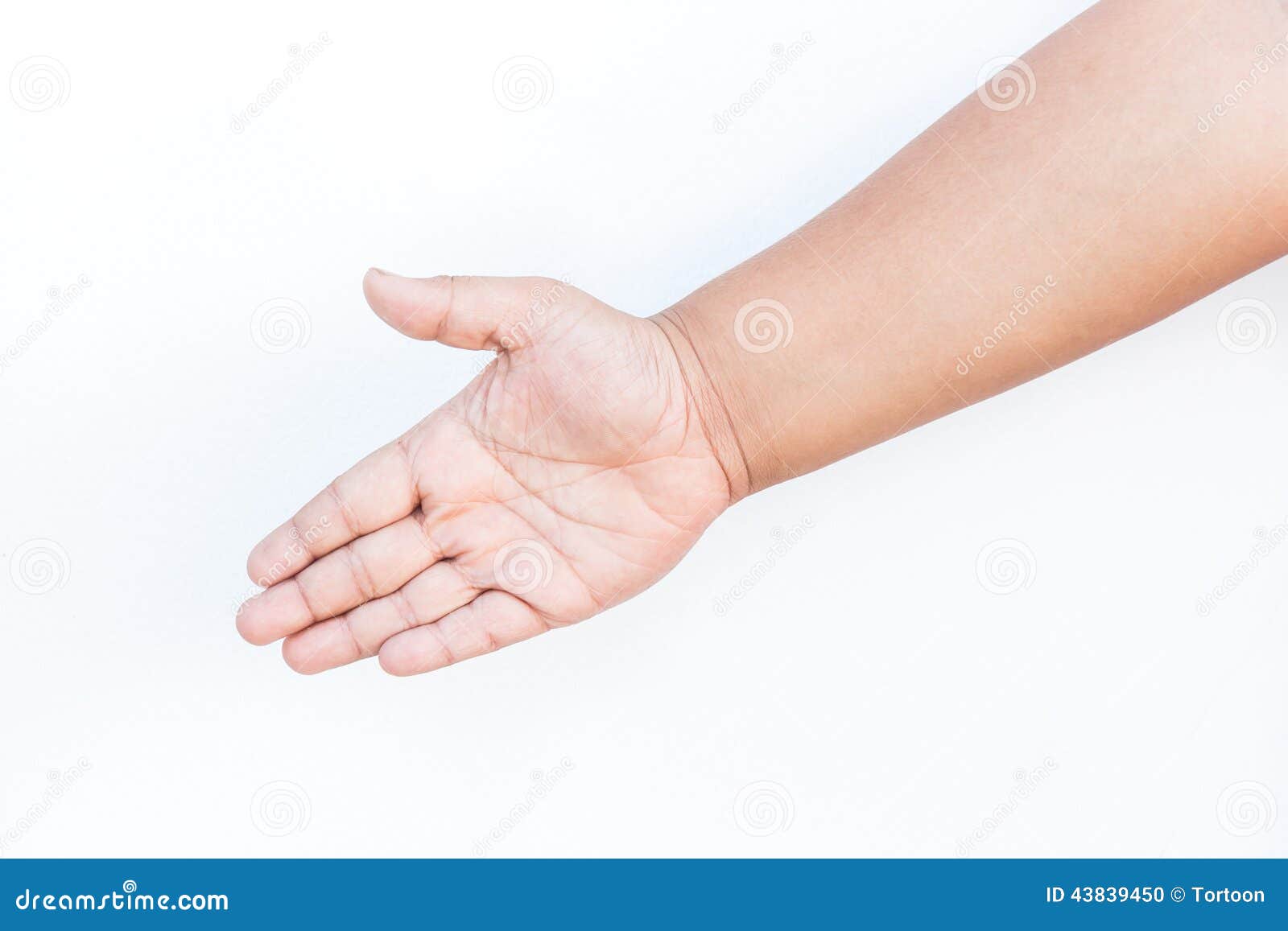 Empty Open Child Hand on White Stock Photo - Image of small, human ...