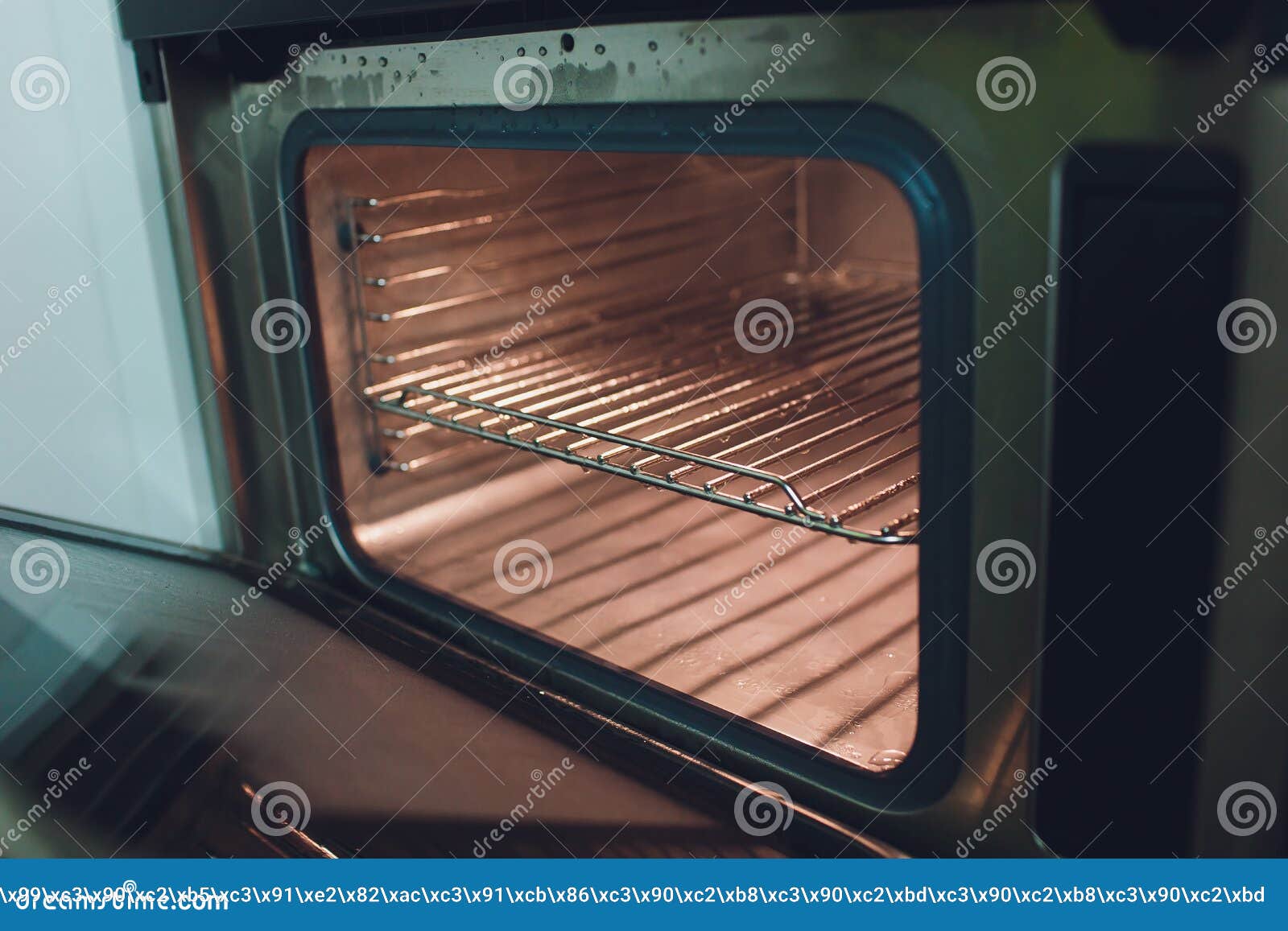 Empty Open Electric Oven with Hot Air Ventilation. New Oven. Door is ...