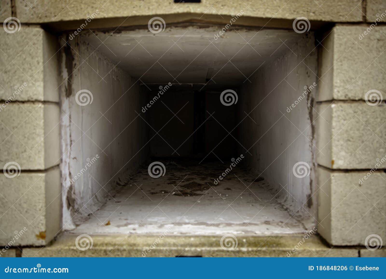 Empty and open grave stock photo. Image of vault, funerary - 186848206