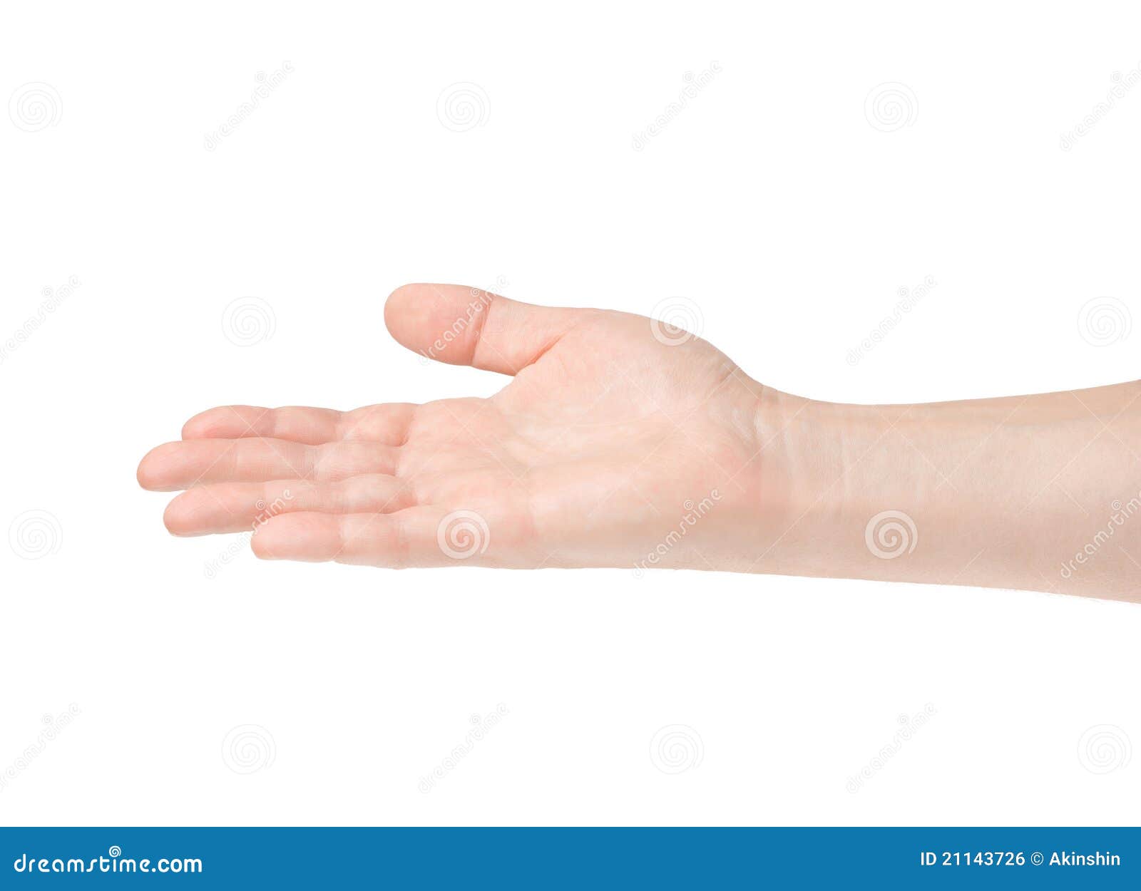 Empty open hand stock photo. Image of assistance, palm - 21143726