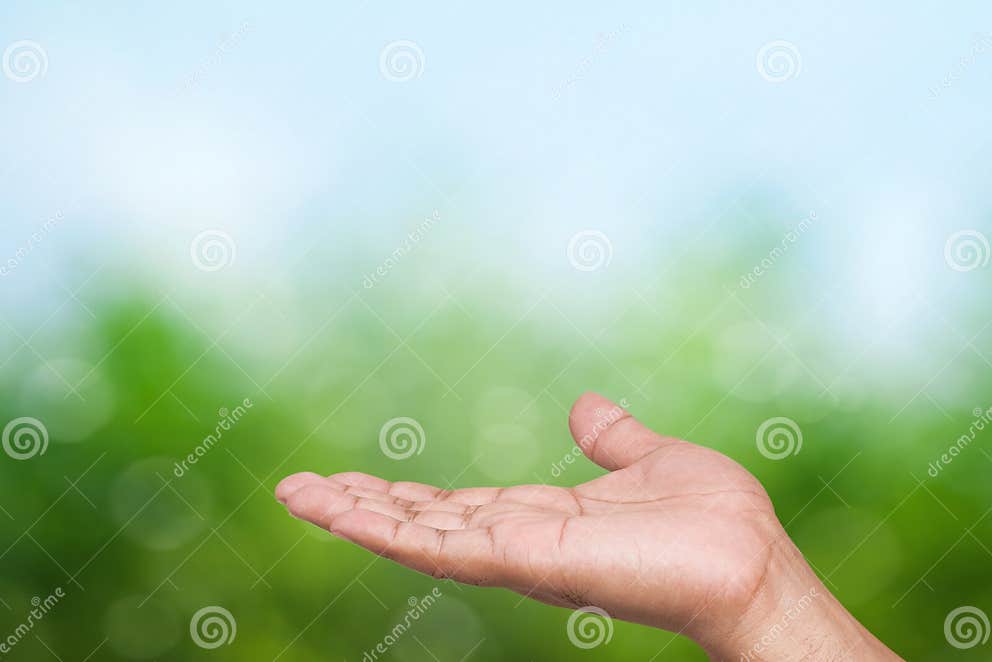 Empty open hand stock photo. Image of protection, alms - 25760158