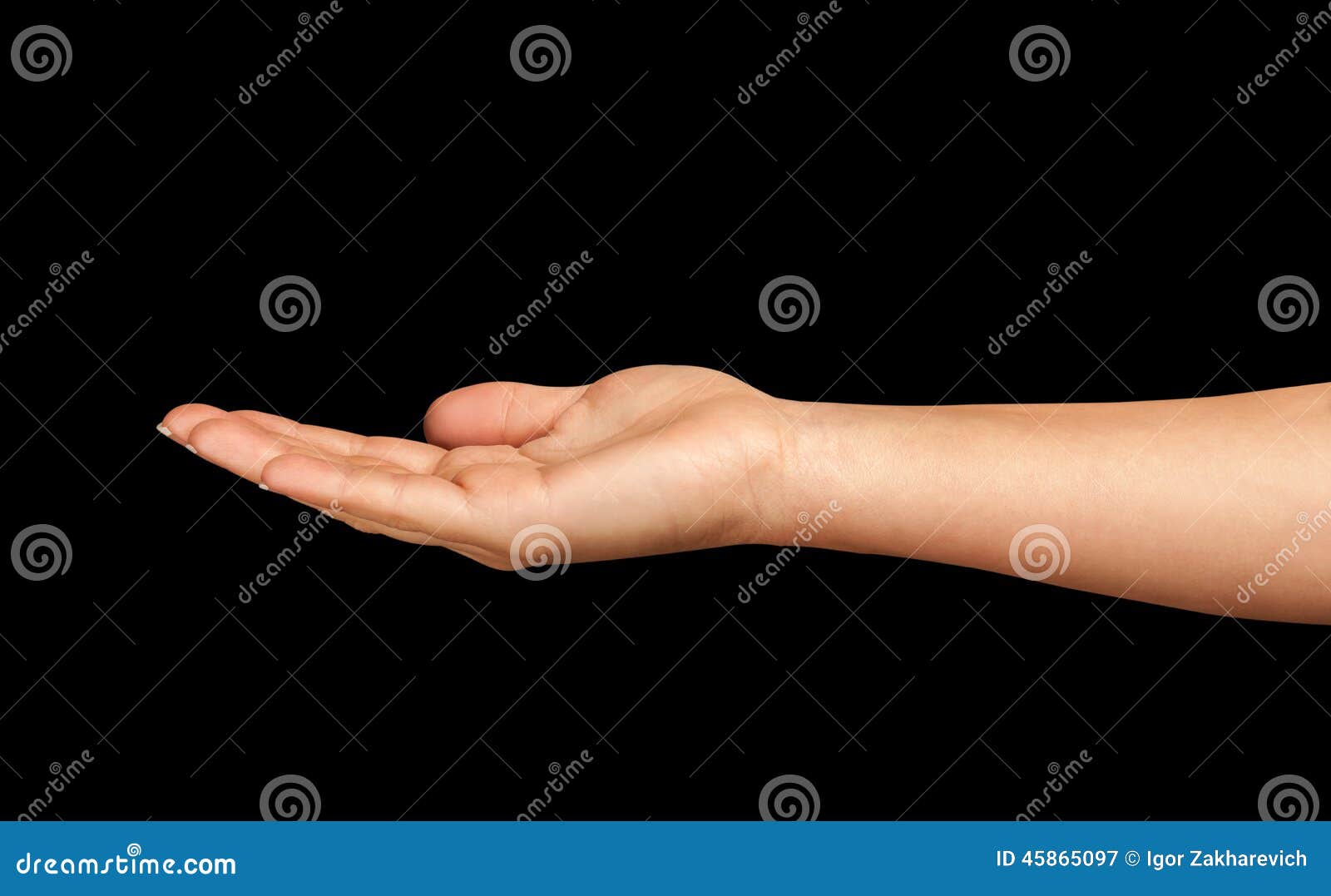 Empty open hand stock image. Image of finger, concept - 45865097