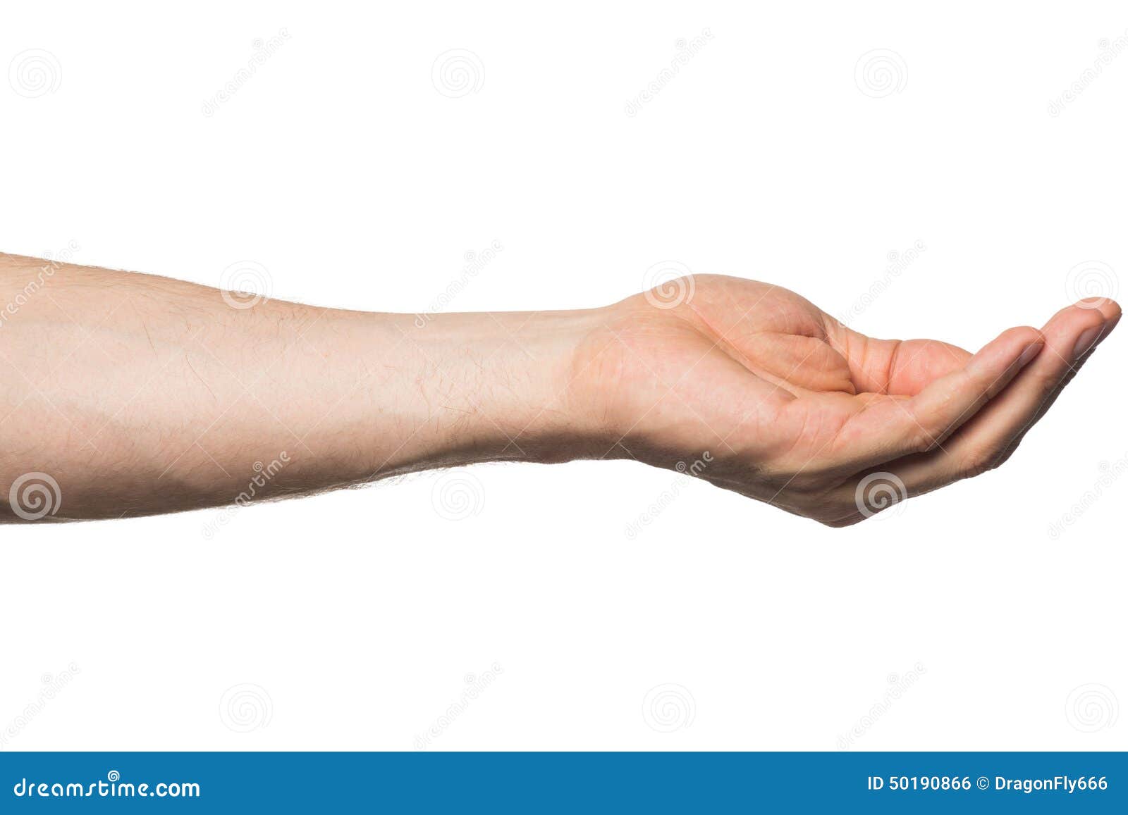 Empty open hand stock photo. Image of gesture, closeup - 50190866