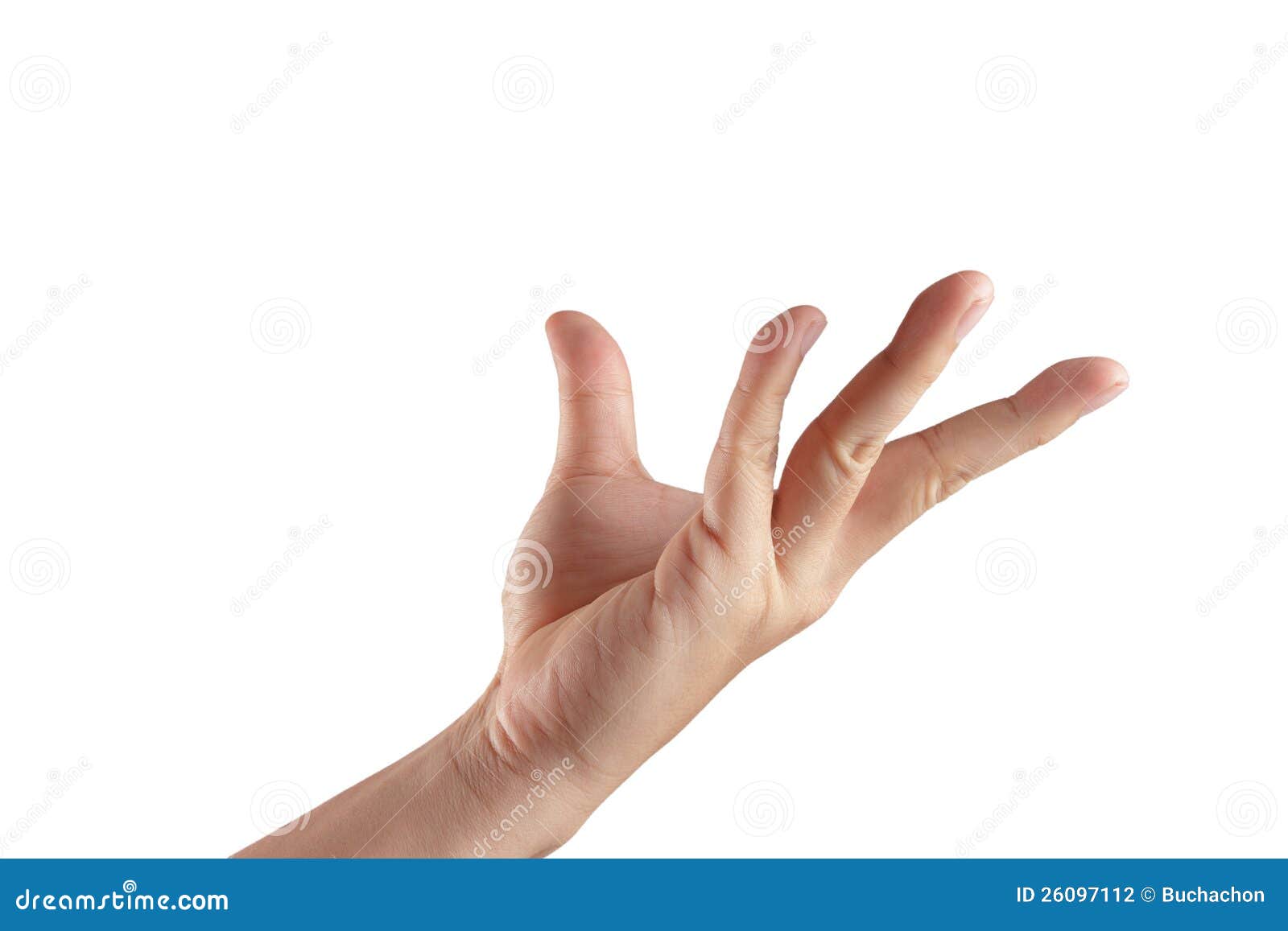 Empty open hand isolated stock photo. Image of sign, poverty - 26097112