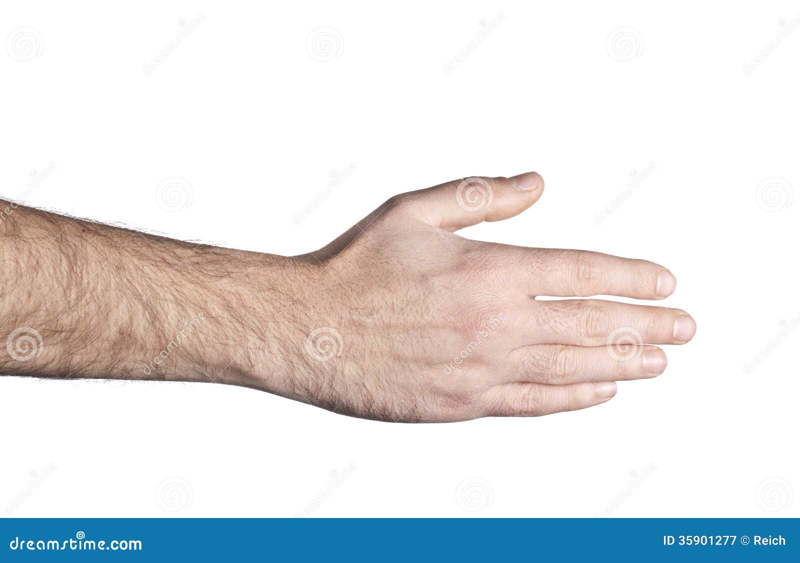 Empty open hand stock image. Image of giving, cosmetology - 35901277