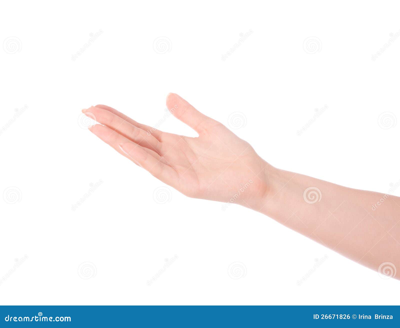Empty open male hand stock photo. Image of beggar, gesturing - 26671826