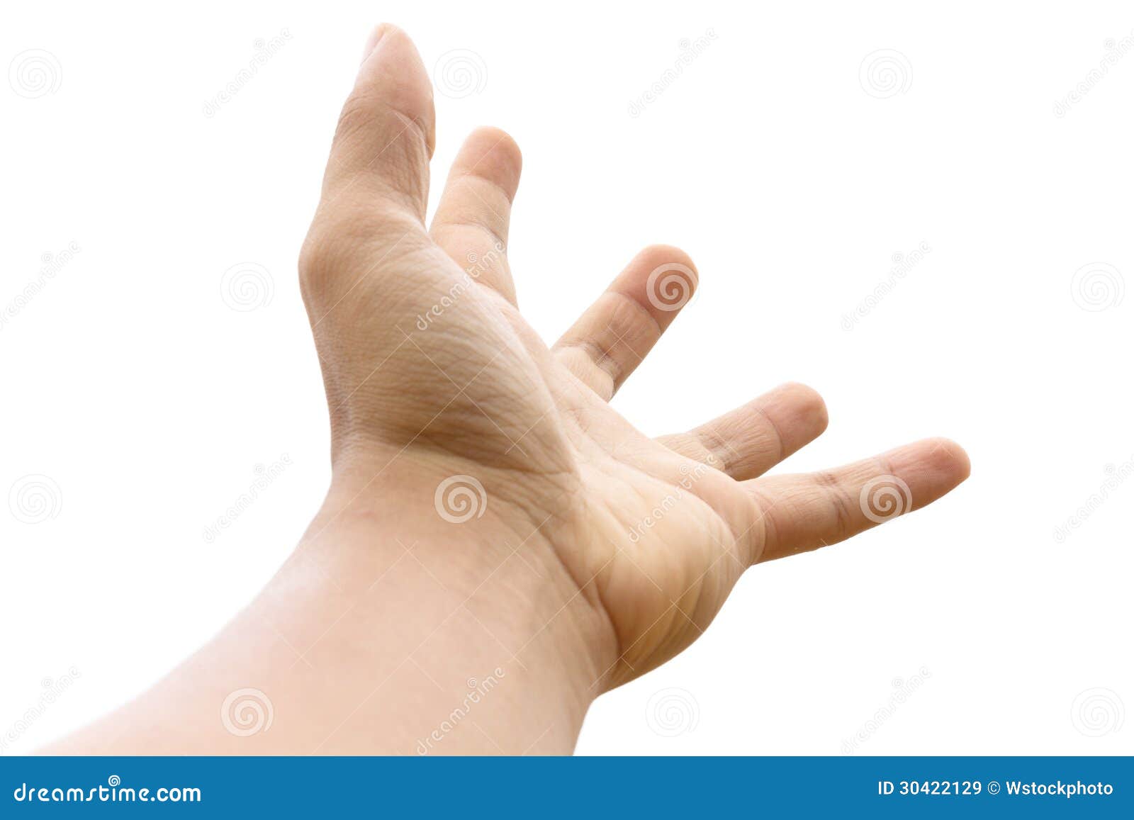Empty Open Man Hand on White Background Stock Image - Image of press ...