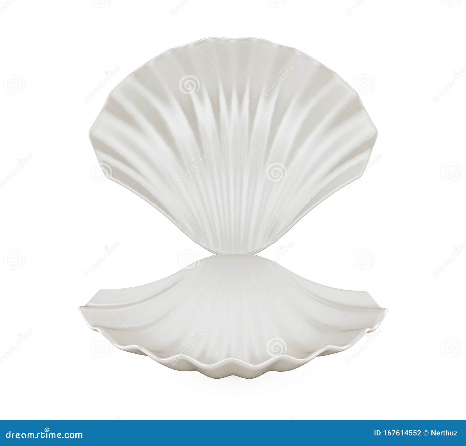 Open Seashell Scallop Icon. Beautiful Clam Shell In Cartoon Flat Style ...