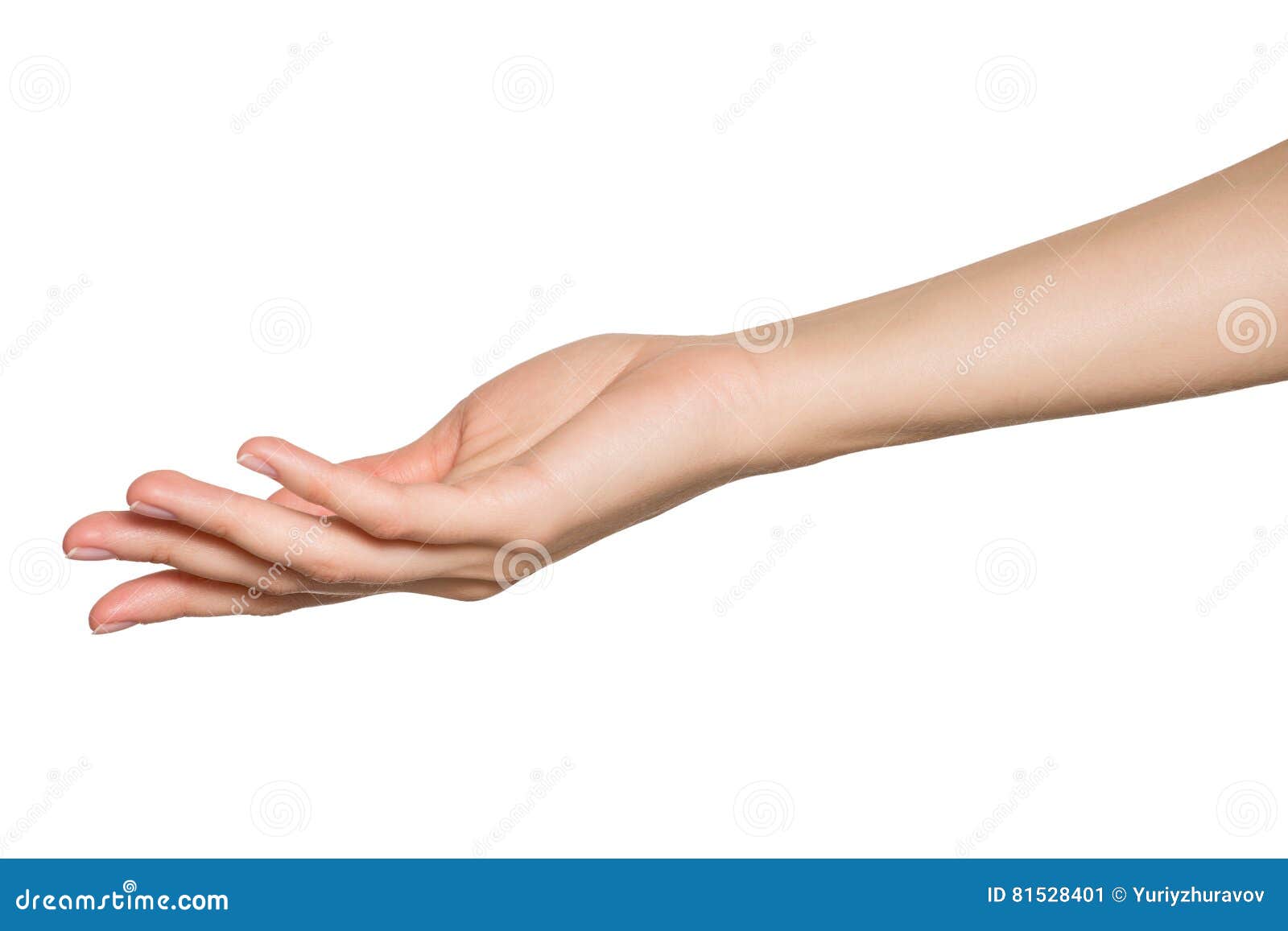 Empty Open Woman Hand. Isolated Stock Image - Image of hand, background ...
