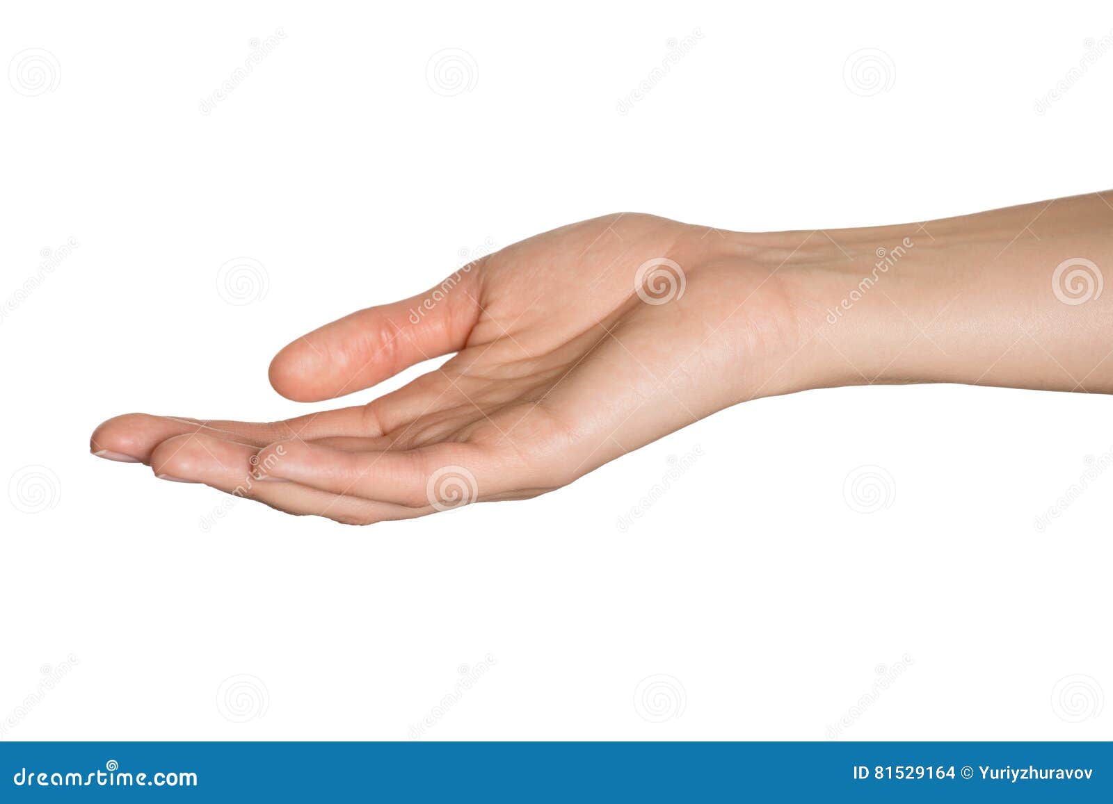 Empty Open Woman Hand. Isolated Stock Photo - Image of protection ...