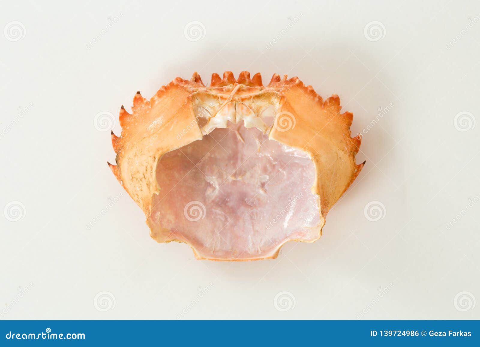 Empty Orange Crab Shell on White Stock Photo - Image of group, cook ...