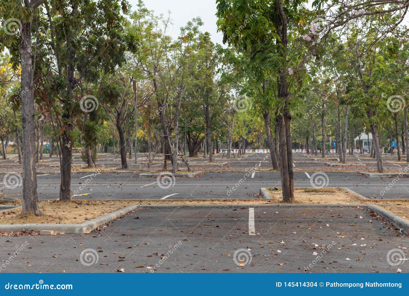 Empty Outdoor Car Parking at the Park Stock Photo - Image of motor ...