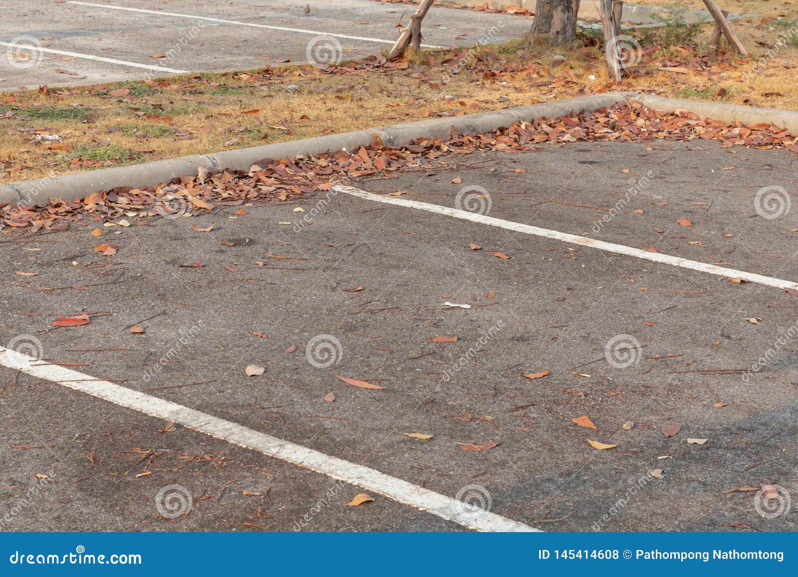 Empty Outdoor Car Parking at the Park Stock Photo - Image of auto ...