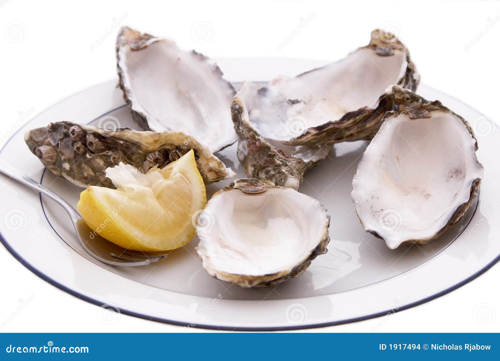 Empty Oyster Shells stock photo. Image of shells, eaten - 1917494