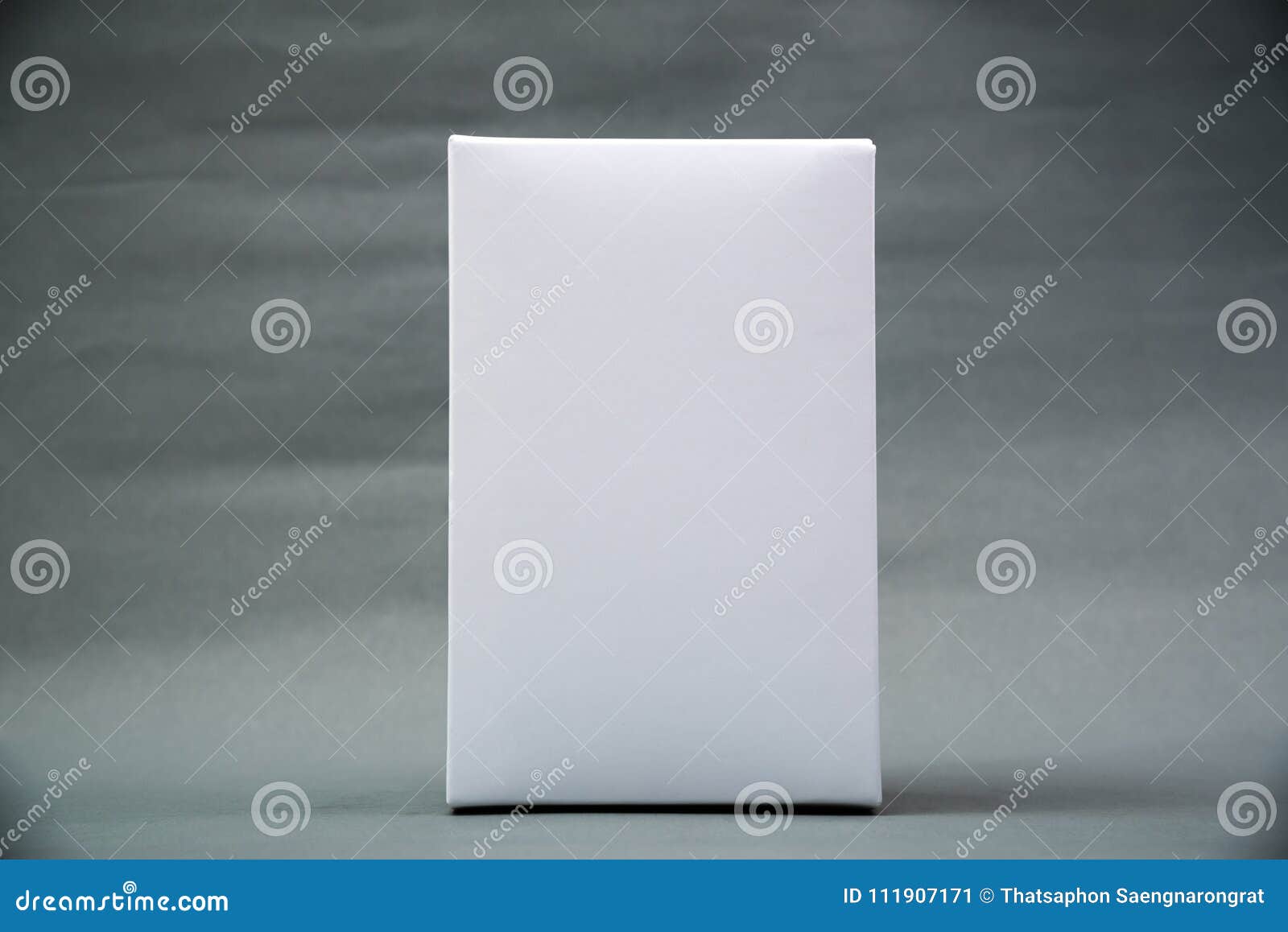 Empty Package White Cardboard Box or Tray for Product on Grey B Stock ...