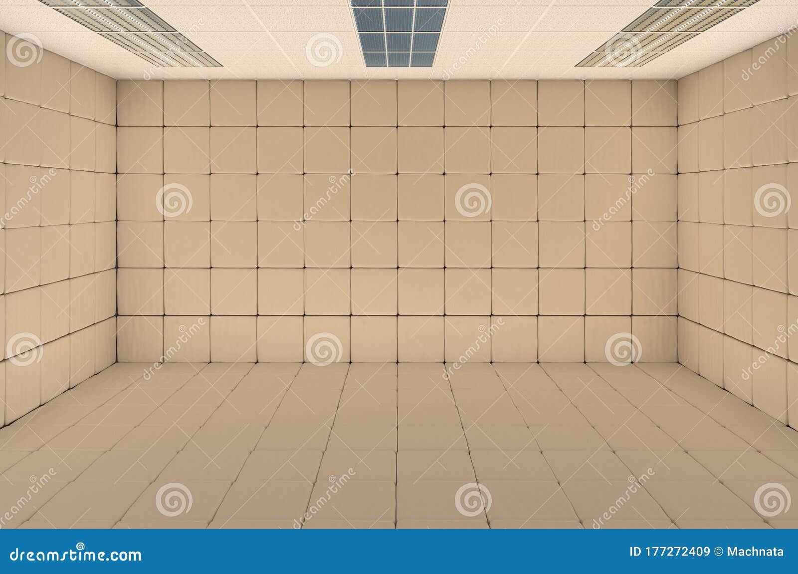 Padded Room Stock Photography | CartoonDealer.com #23192702