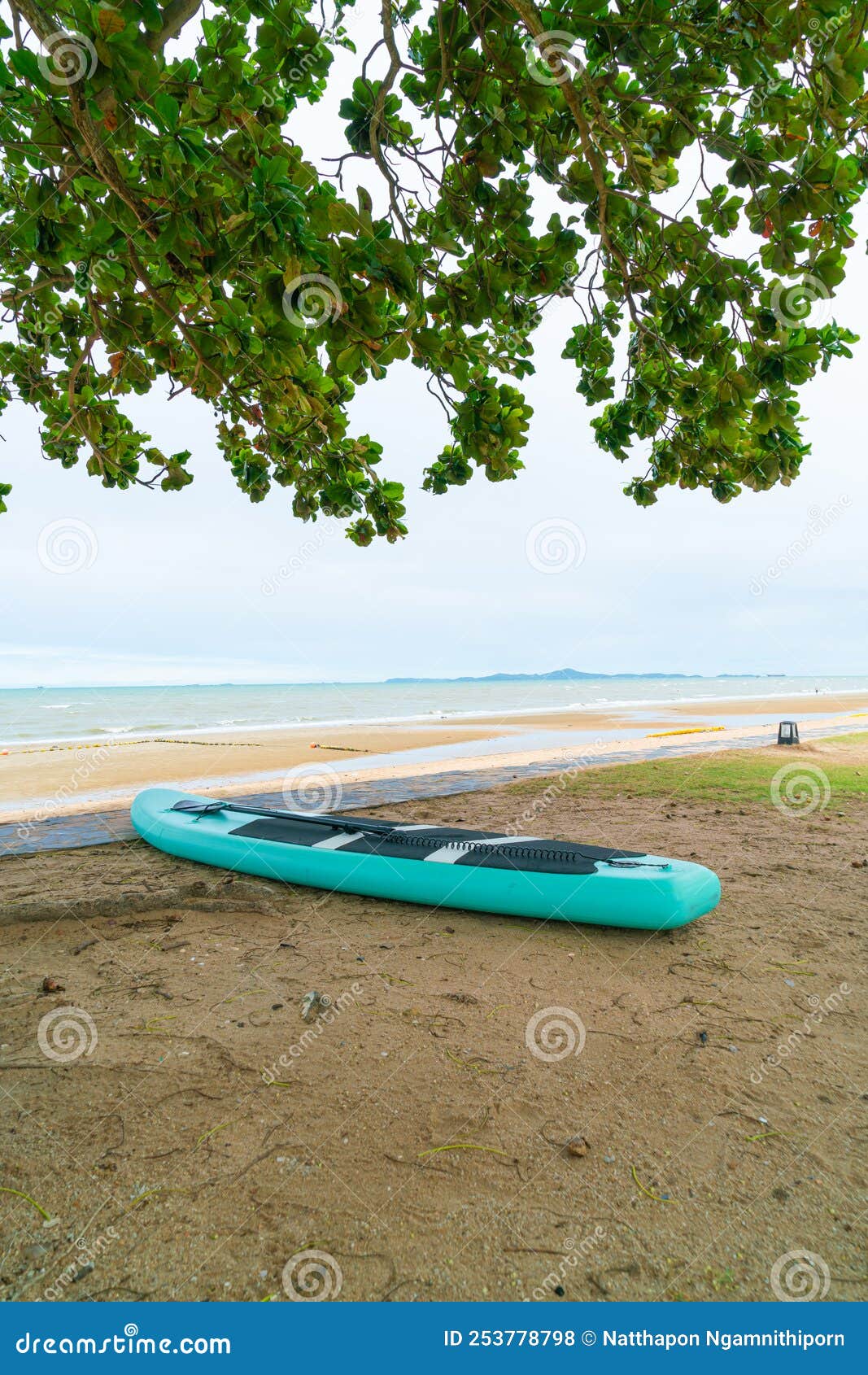 Paddle Board on Beach with Sea Background Stock Photo - Image of ...