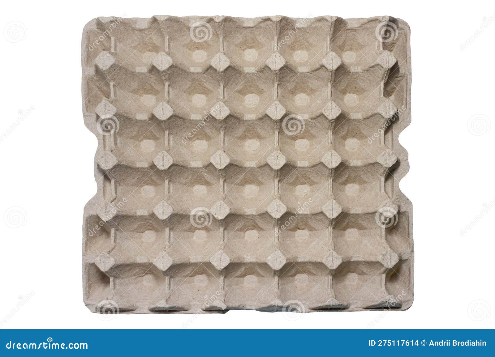 Empty Paper Egg Tray for 30 Eggs. Stock Photo - Image of reusable ...