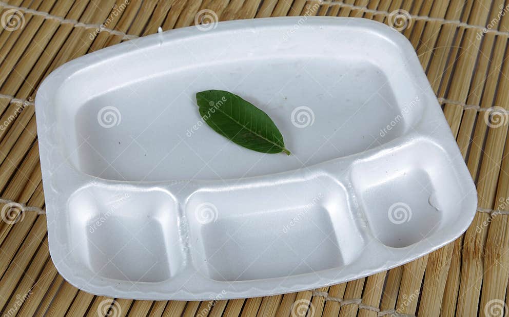 Empty paper plate stock image. Image of foundation, shot - 17421693