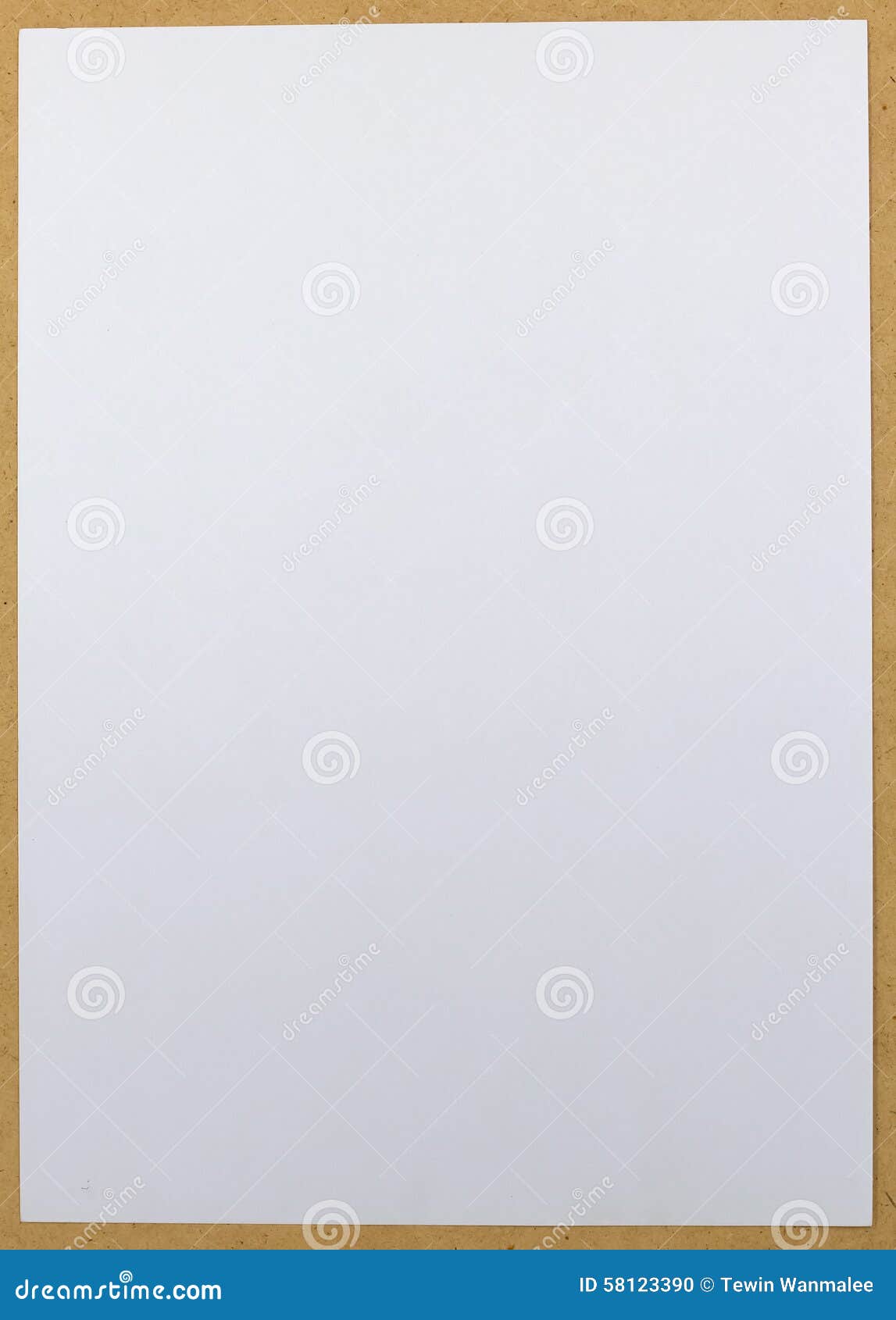 Empty Paper Sheet stock photo. Image of holder, palstic - 58123390