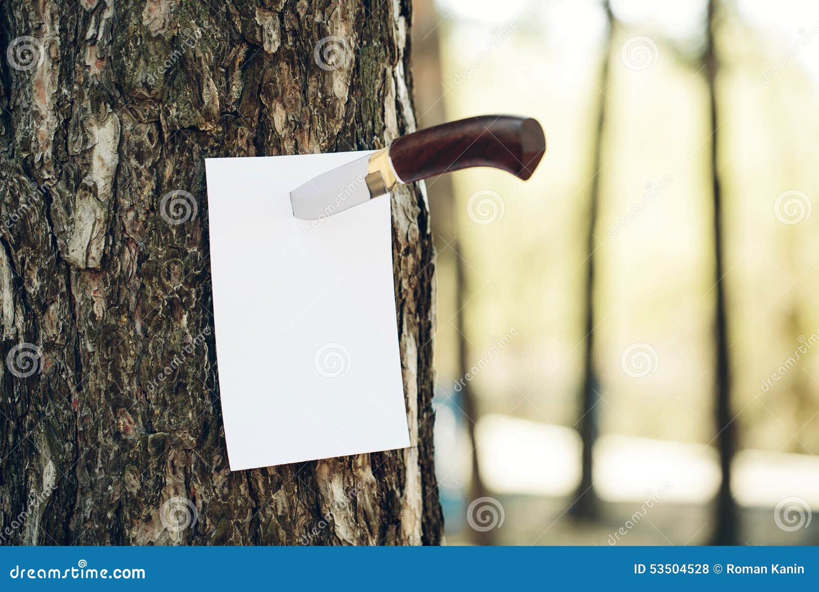 Empty Paper Stuck into a Tree with a Knife Stock Photo - Image of ...