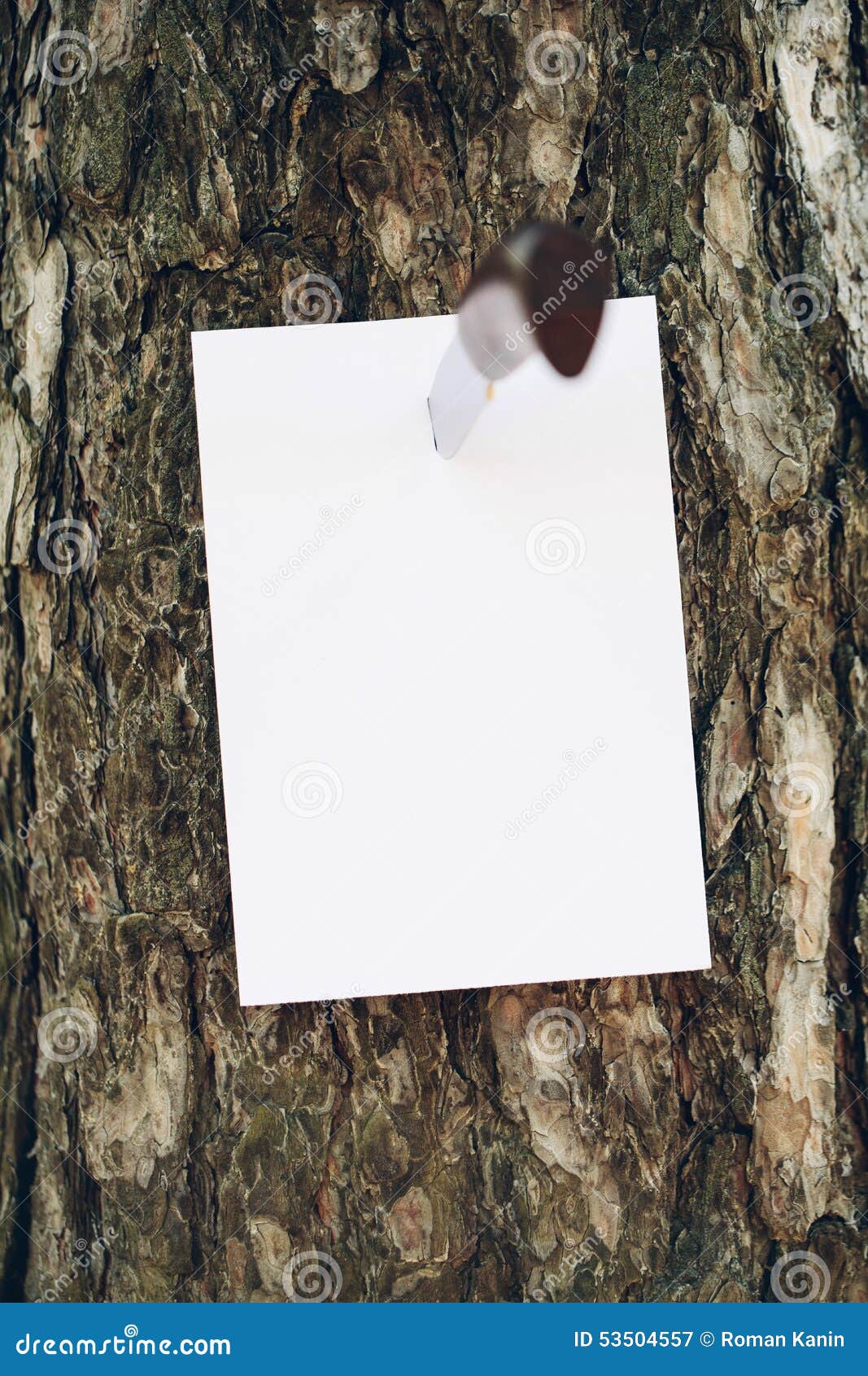 Empty Paper Stuck into a Tree with a Knife Stock Image - Image of ...